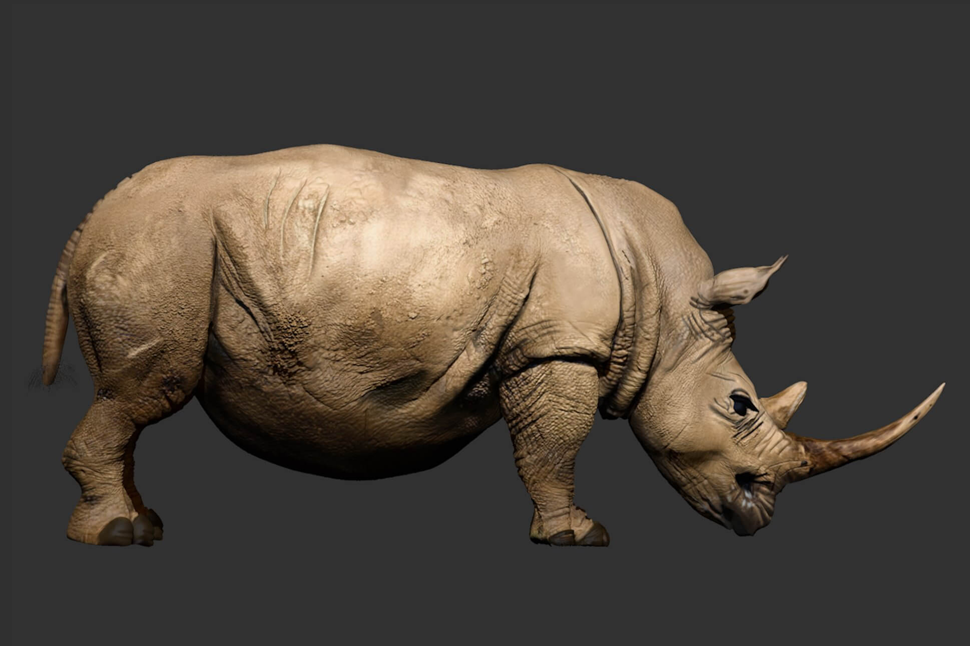 Rhino - 3D Model by KellyJohnson3DArt