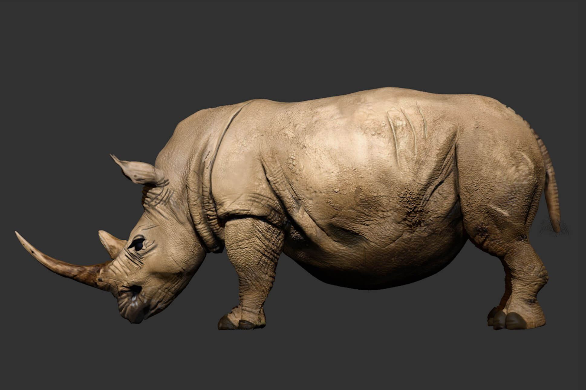 Rhino - 3D Model by KellyJohnson3DArt