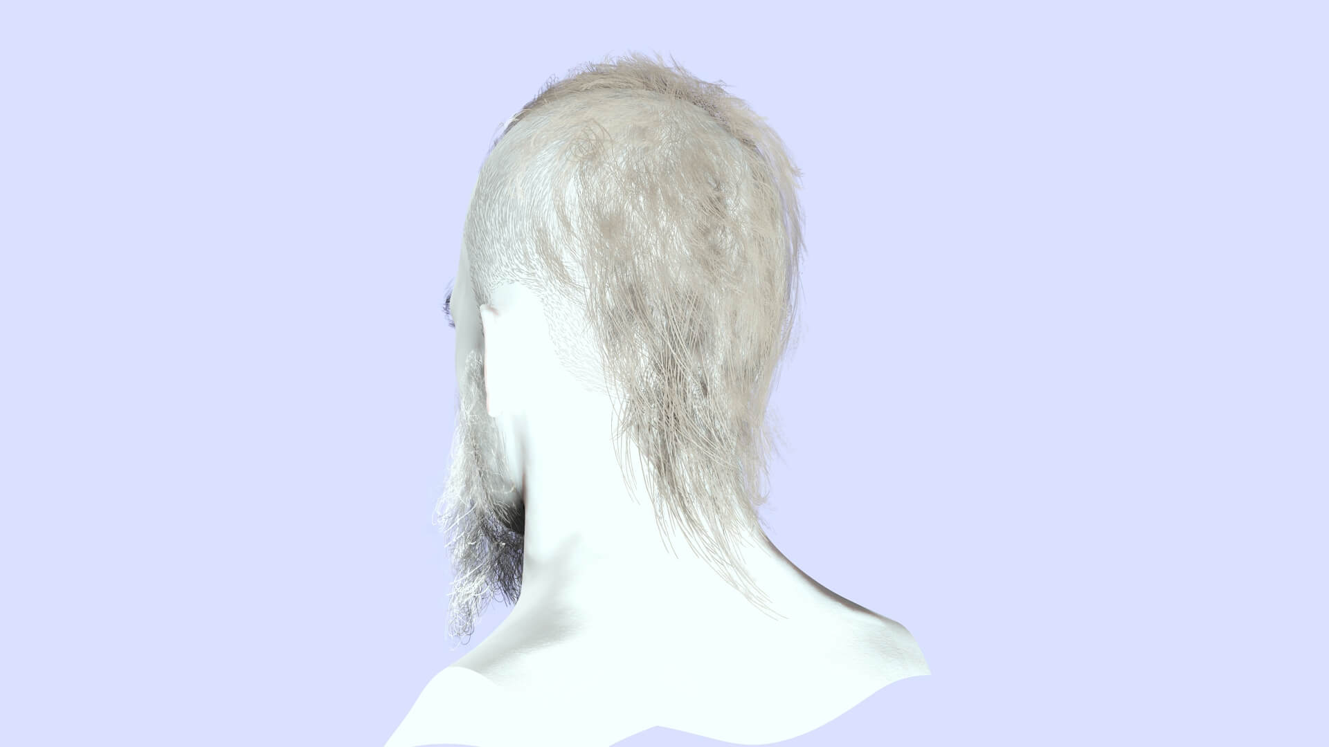 Berber Male Hair - Messy Long Beard Mustache 3D Model by khaloui