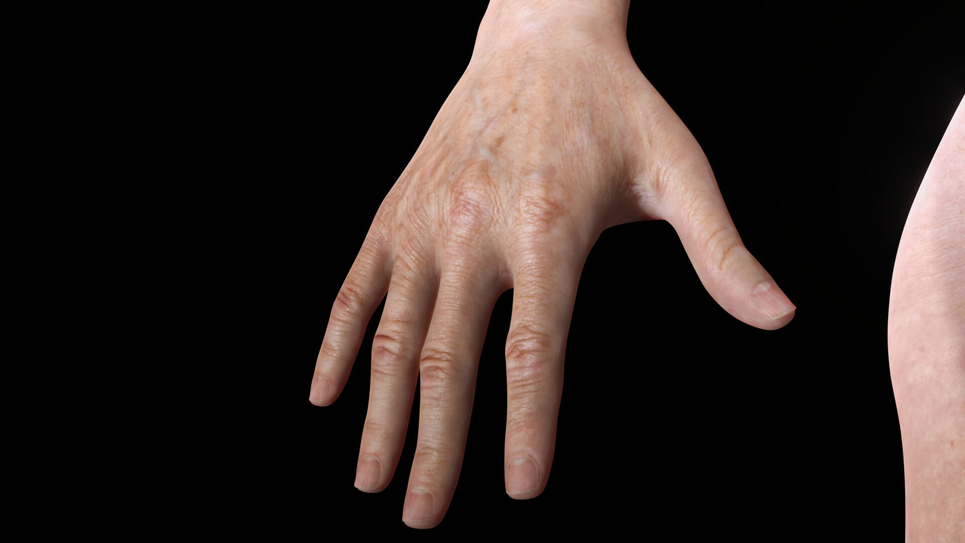 Elda Realistic Elderly Woman 3D Character Model by khaloui