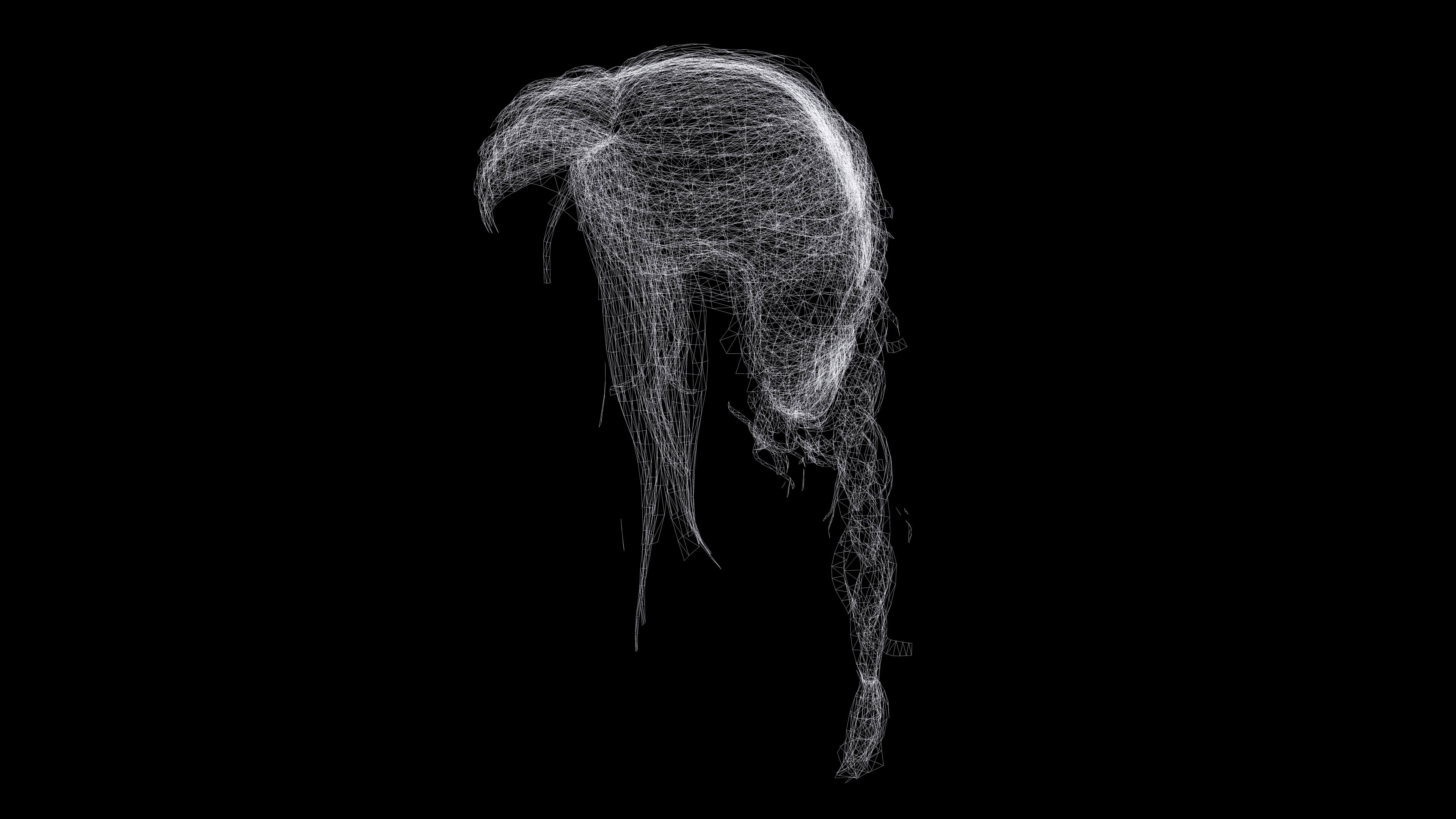 Realistic Hair - French Braid 3D Model by khaloui