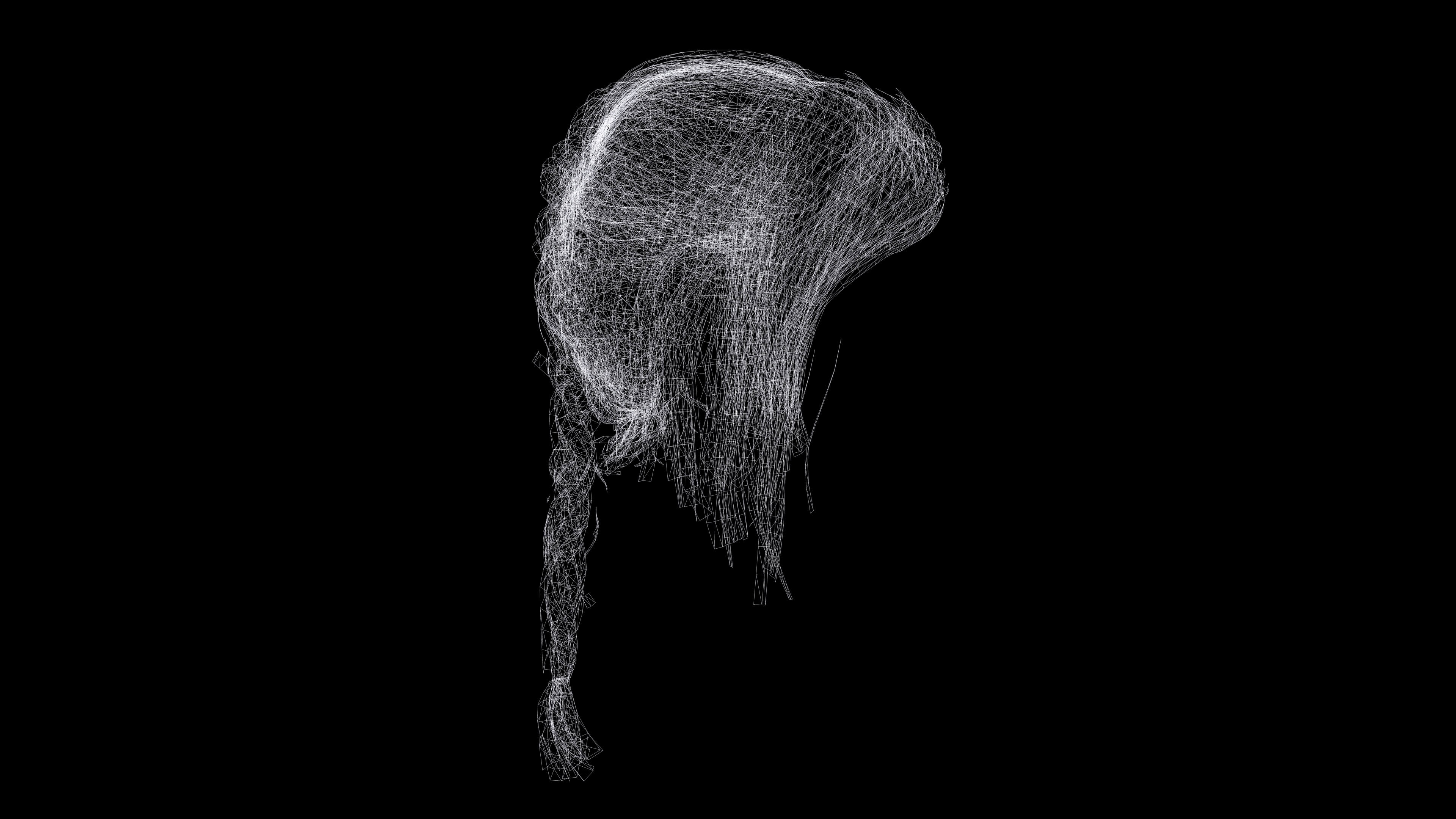 Female Realistic Hair - French Braid Hairstyle 3D Model by khaloui