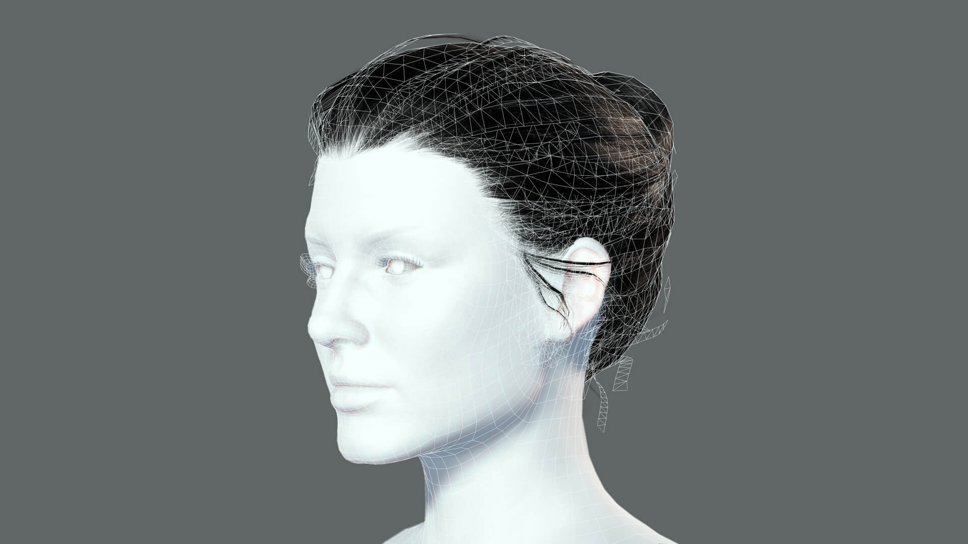 Female Hair - Free 3D Model by khaloui