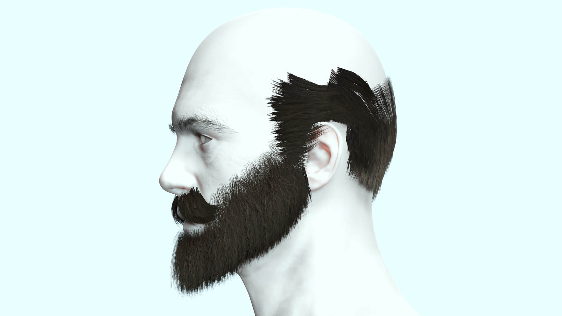 Half Blad Hair - Beard - Mustache 3D Model by khaloui