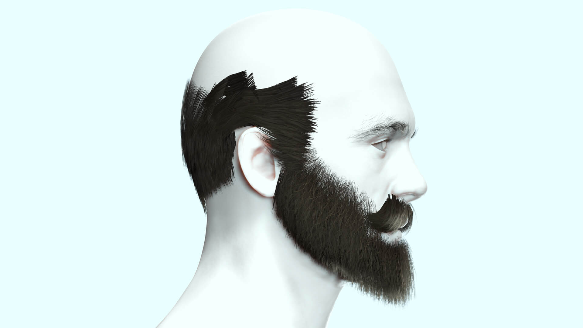 Half Blad Hair - Beard - Mustache 3D Model by khaloui