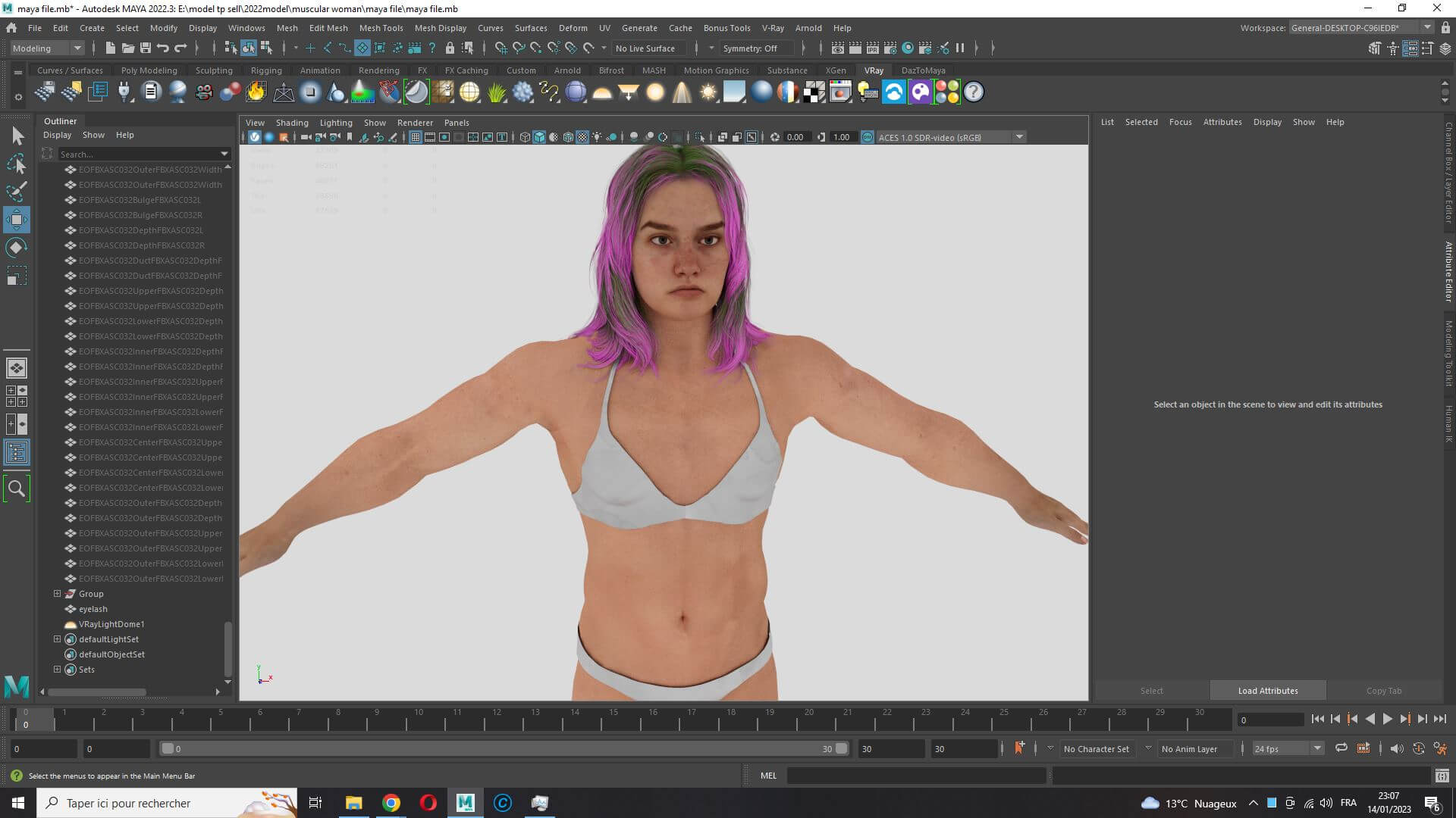 Muscular Women - 3D Model by khaloui