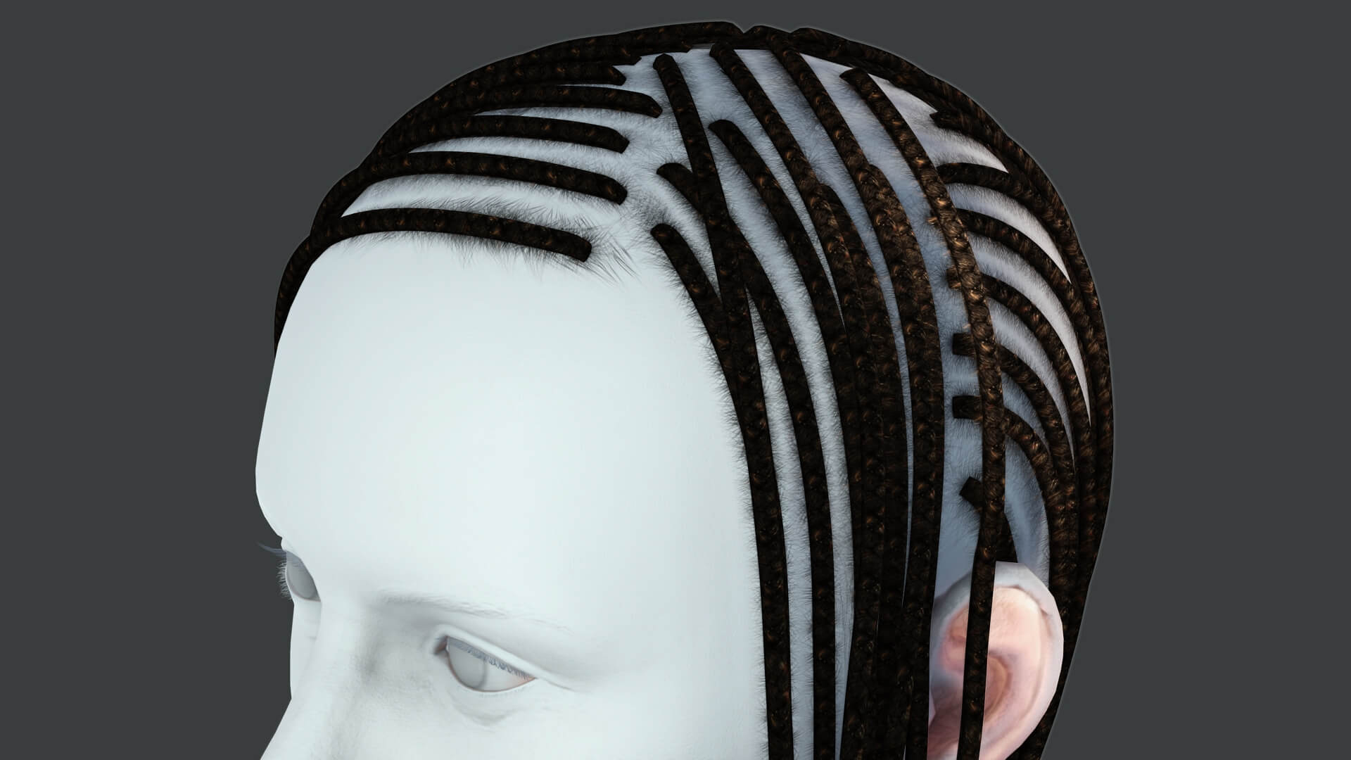 Braid Hair Rasta - 3D Model by khaloui