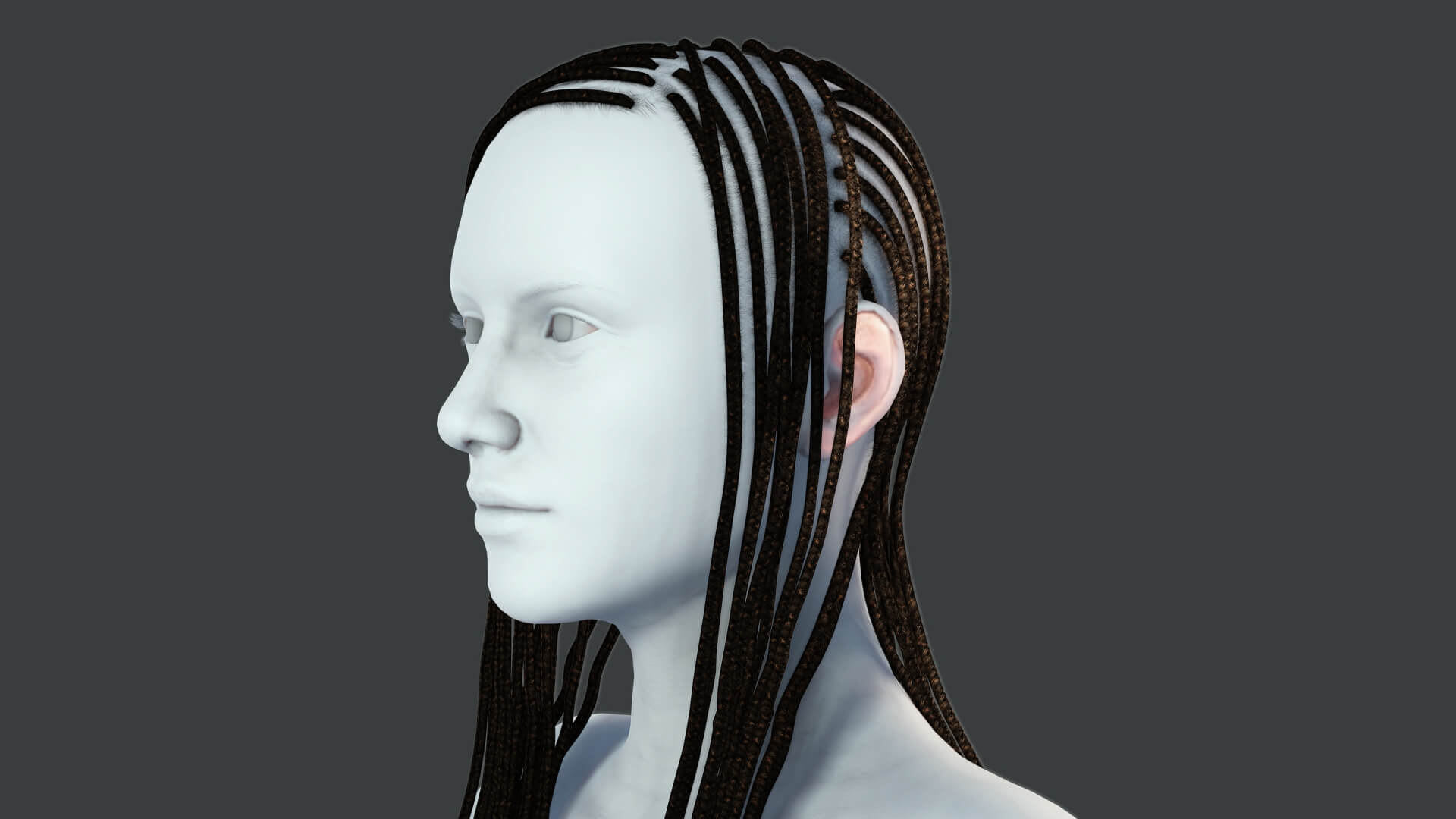Braid Hair Rasta - 3D Model by khaloui