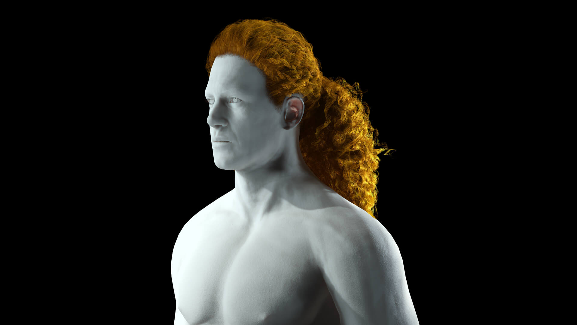 Curly Long Hair - 3D Model by khaloui