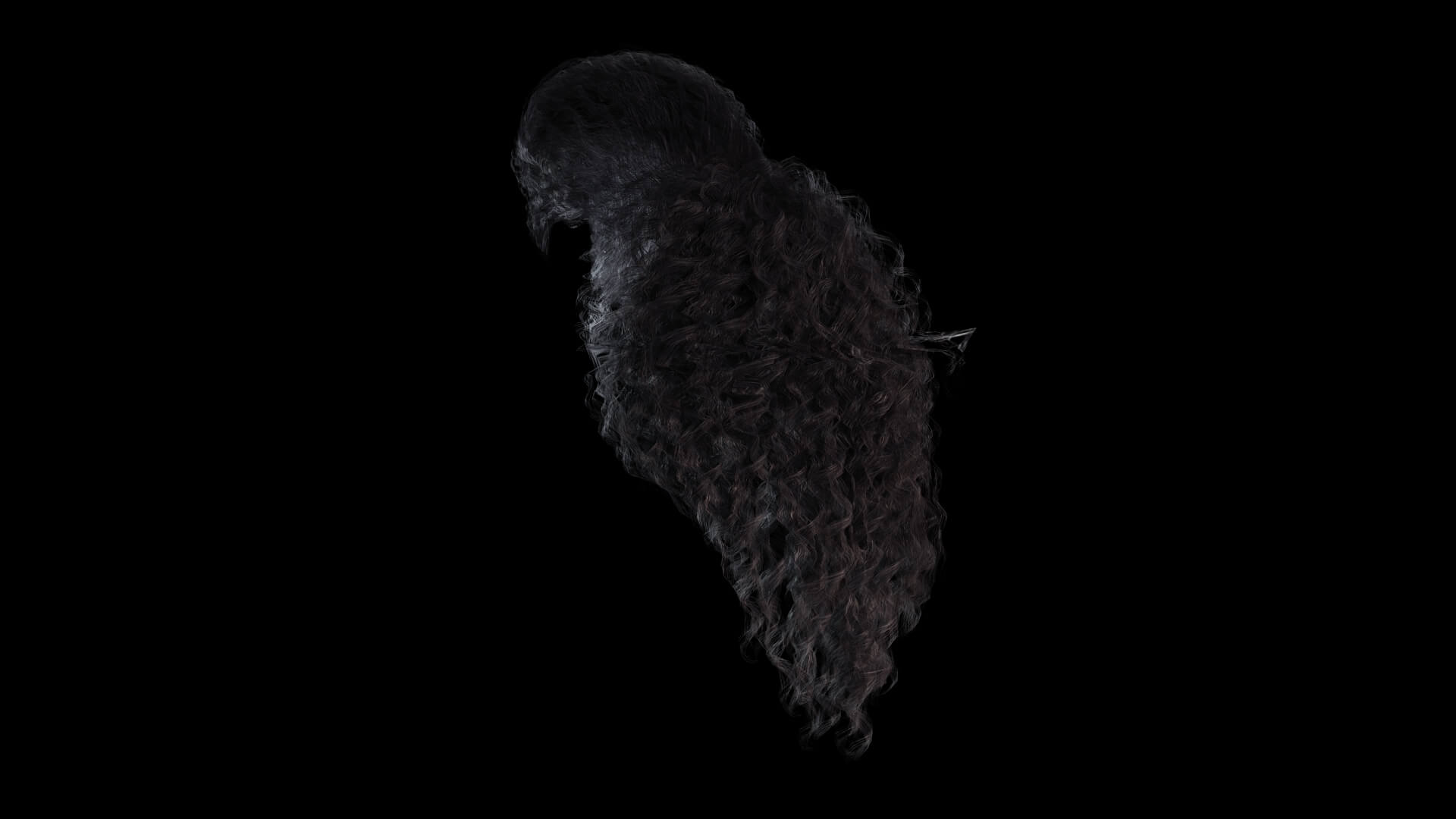 Curly Long Hair - 3D Model by khaloui