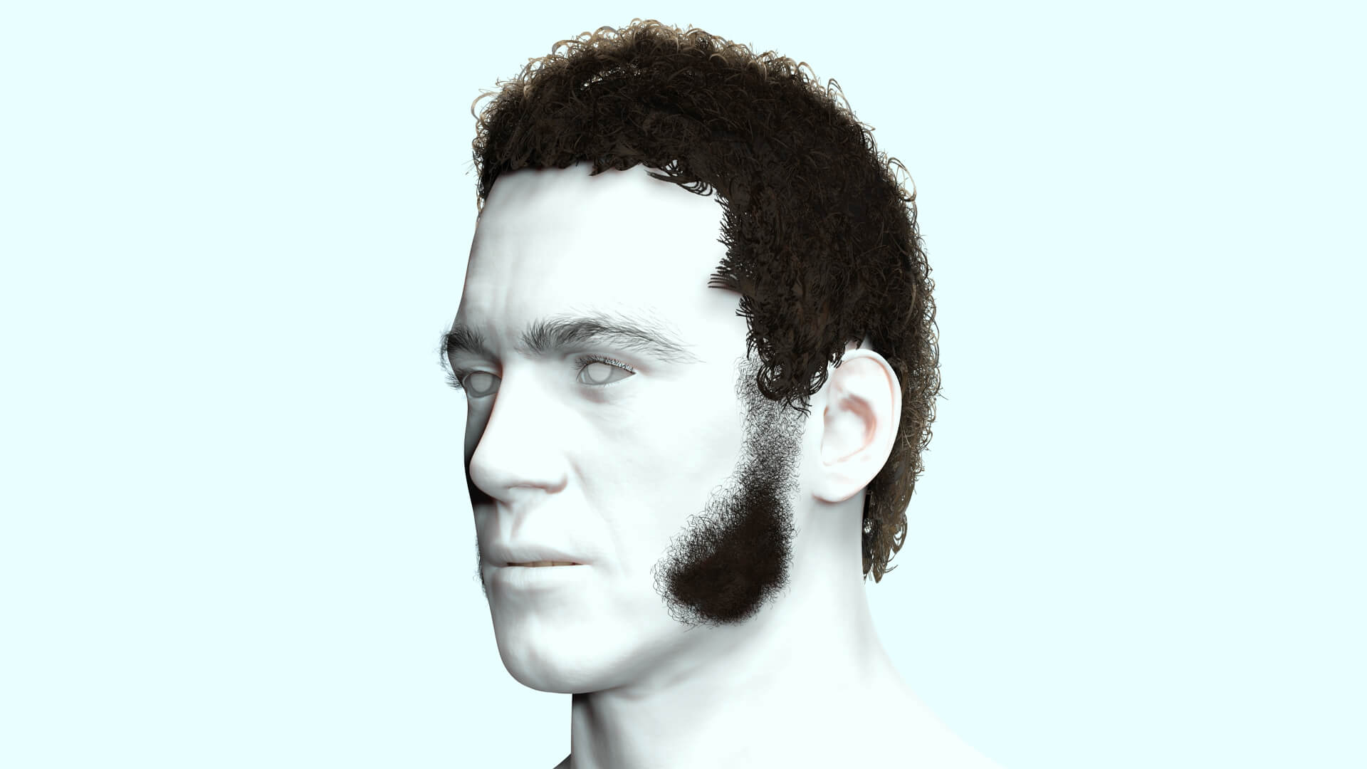 Realistic Curly Man Hair - Sideburns Beard 3D Model by khaloui