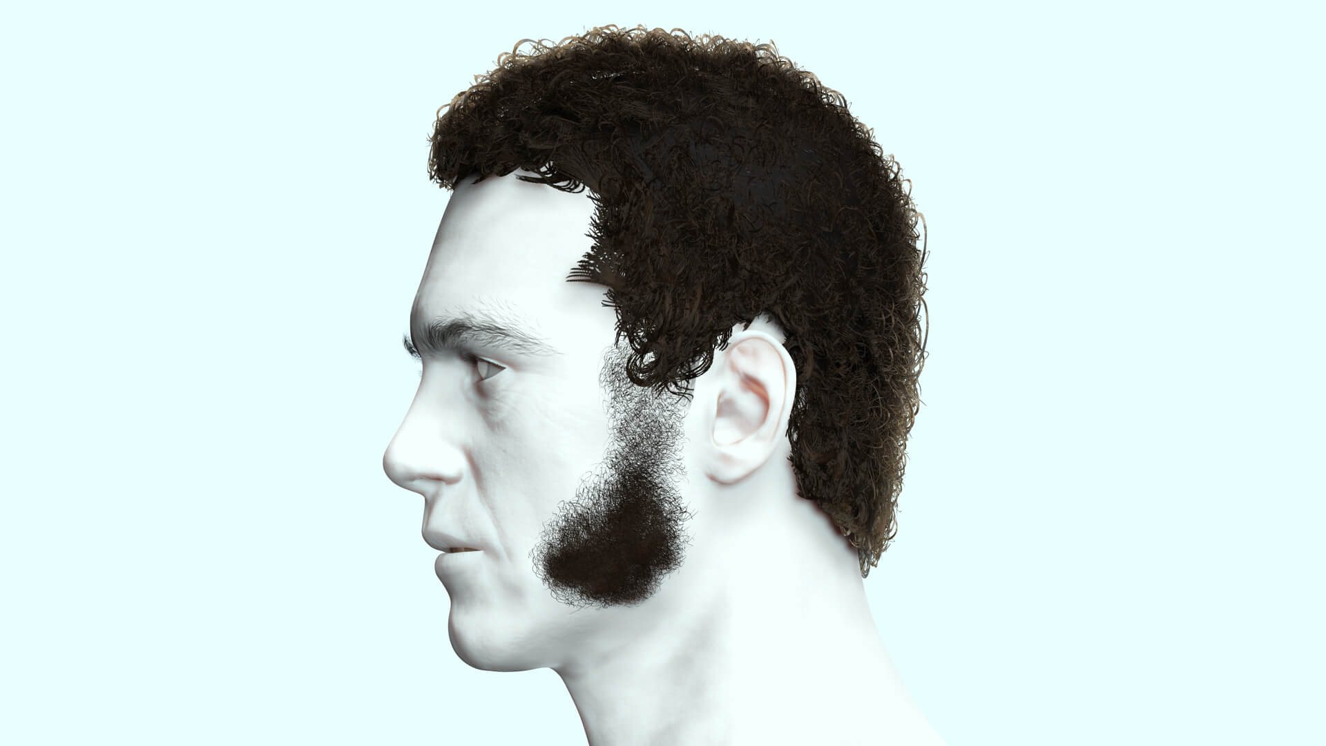 Realistic Curly Man Hair - Sideburns Beard 3D Model by khaloui