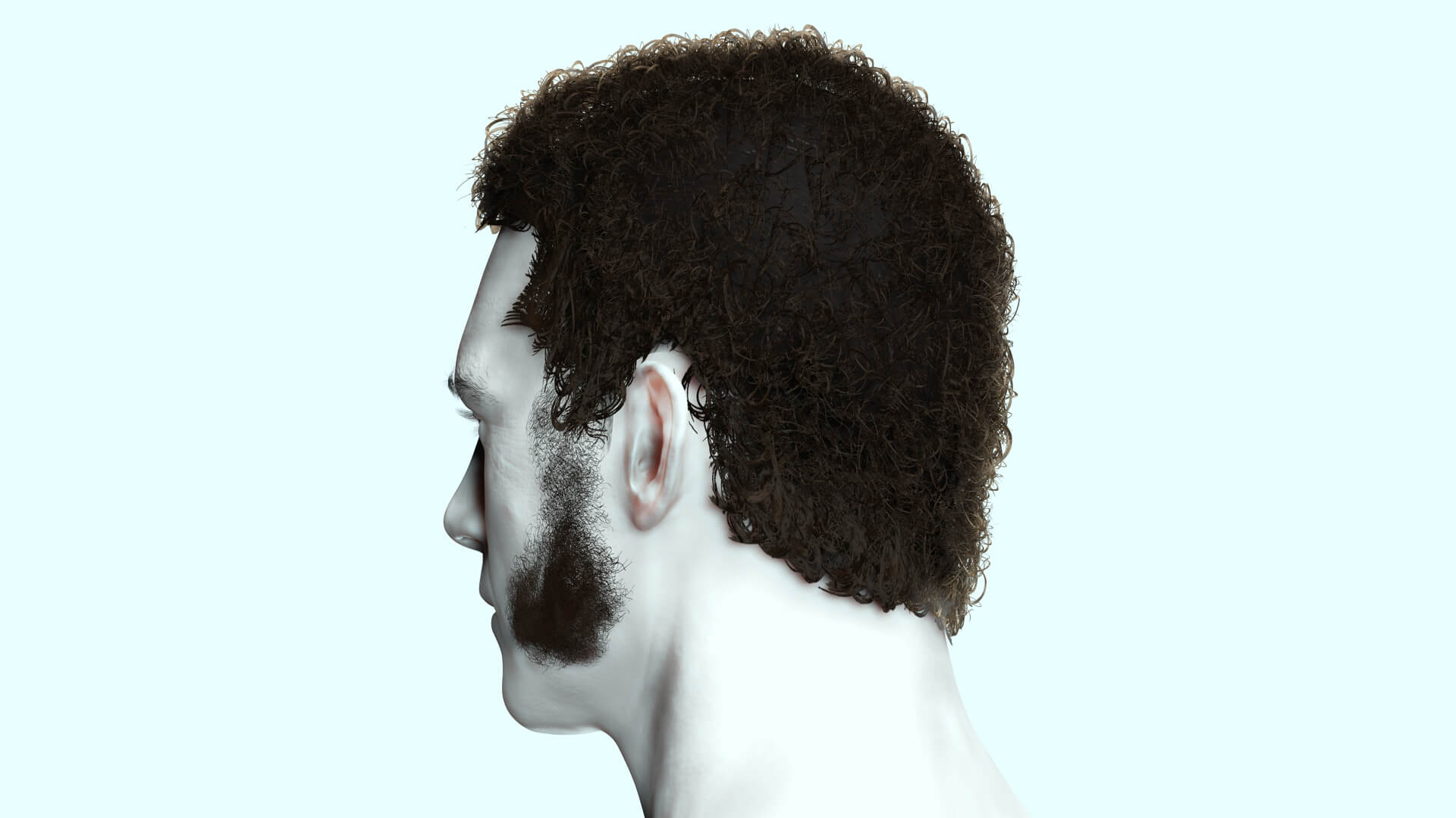 Realistic Curly Man Hair - Sideburns Beard 3D Model by khaloui