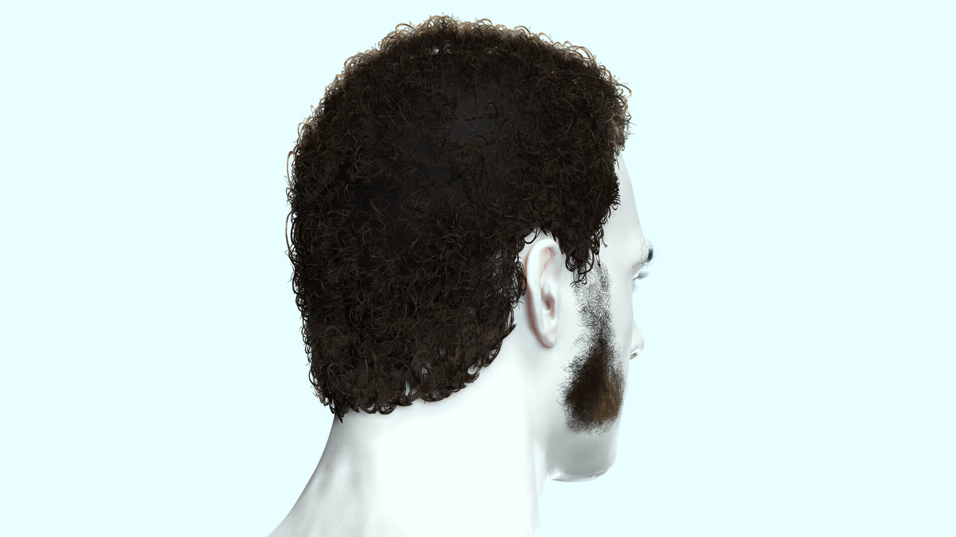 Realistic Curly Man Hair - Sideburns Beard 3D Model by khaloui
