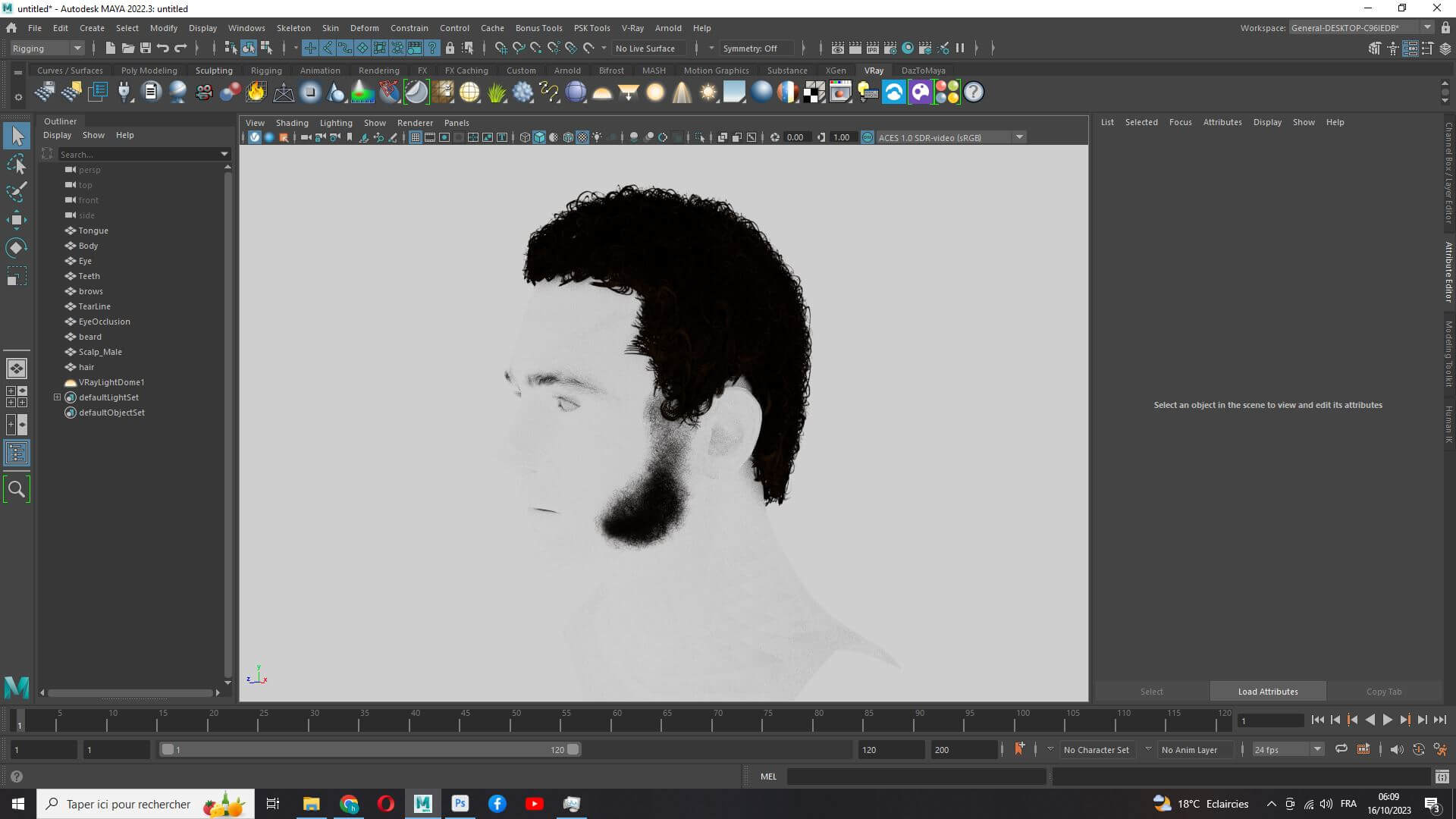 Realistic Curly Man Hair - Sideburns Beard 3D Model by khaloui