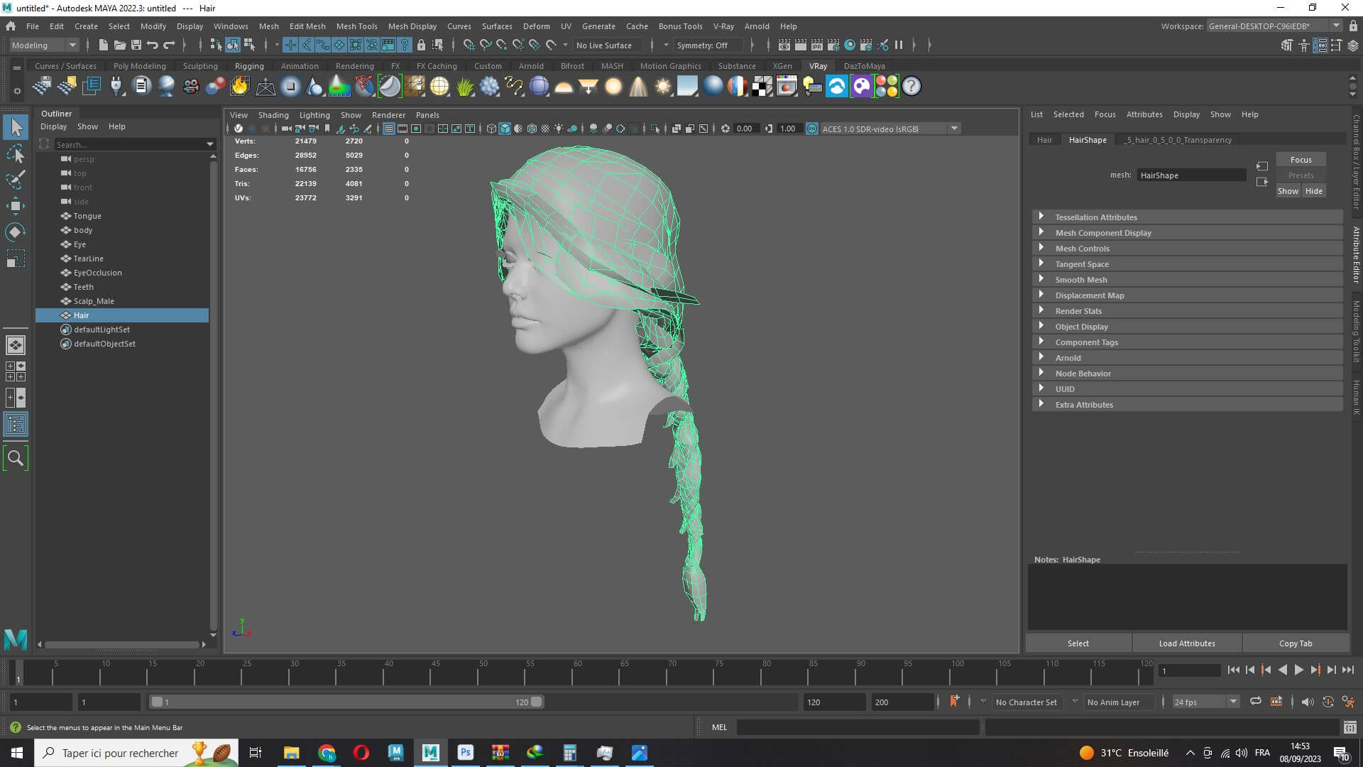 Realistic Female Braided Hair - 3D Model by khaloui