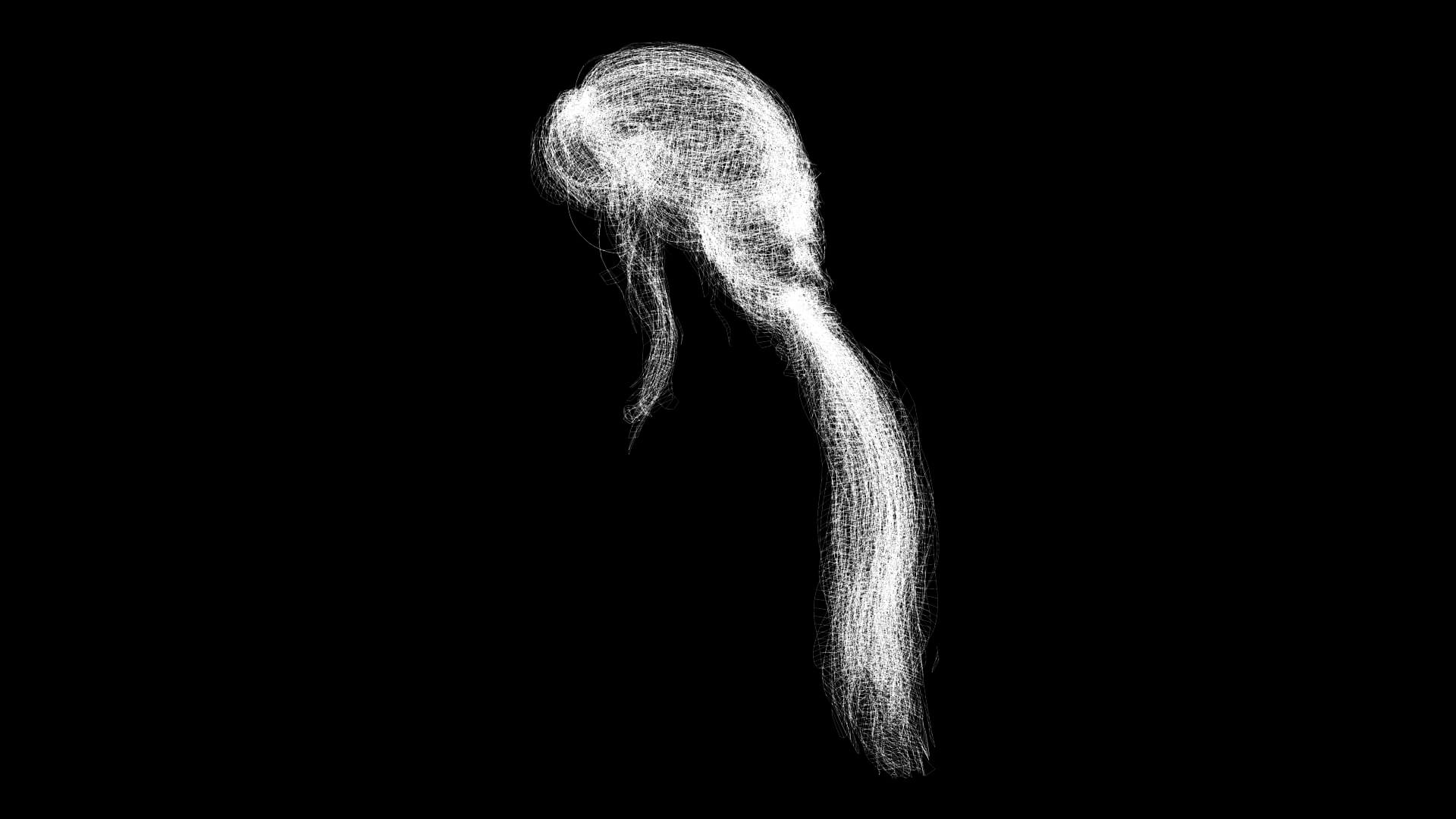 Female Hair Long Tail - 3D Model by khaloui