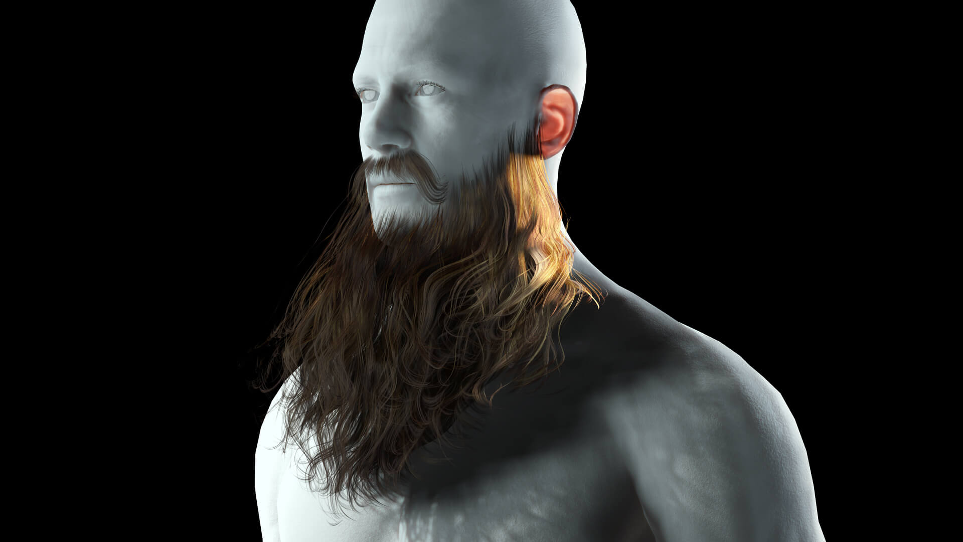 Full Beard - 3D Model by khaloui