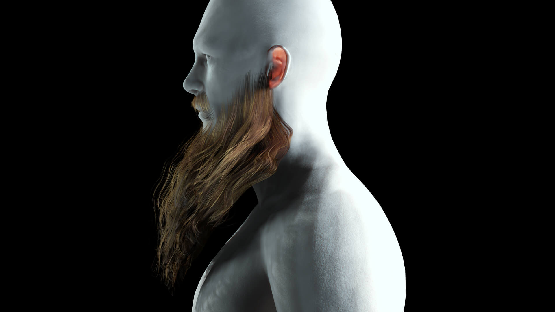 Full Beard - 3D Model by khaloui