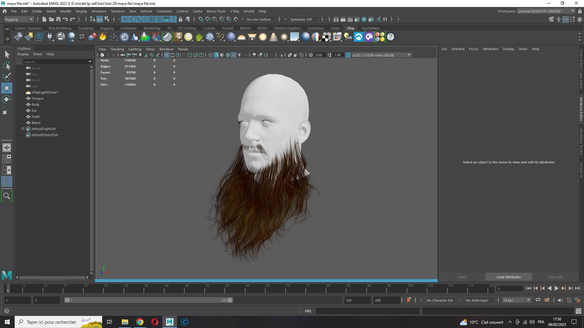 Full Beard - 3D Model by khaloui