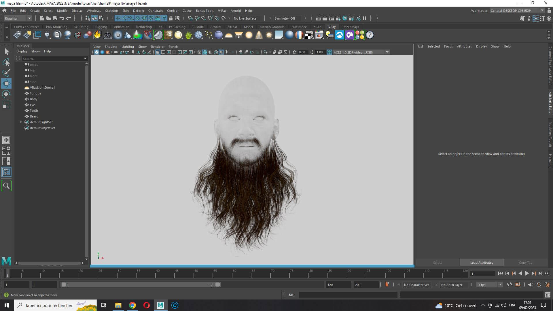 Full Beard - 3D Model by khaloui