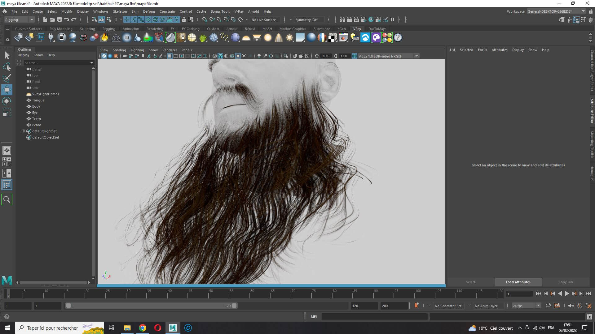 Full Beard - 3D Model by khaloui