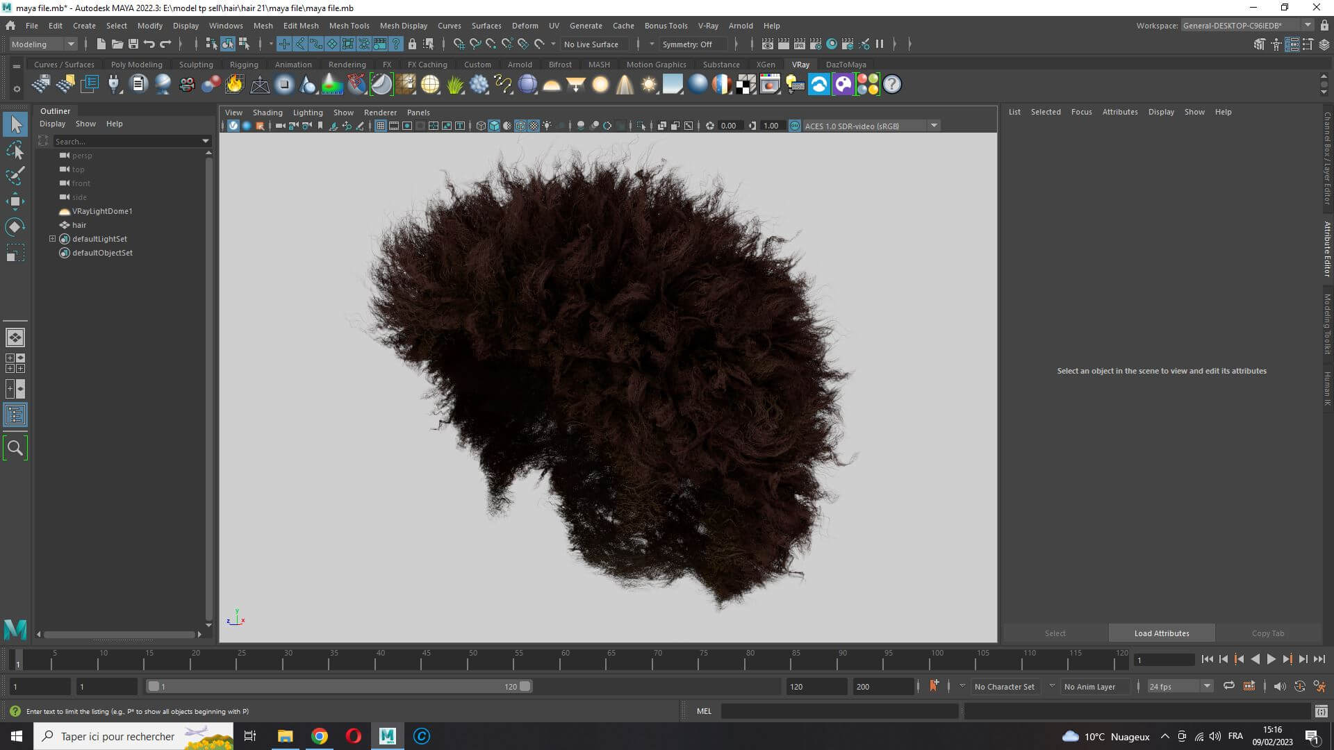 Hair Afro - 3D Model by khaloui