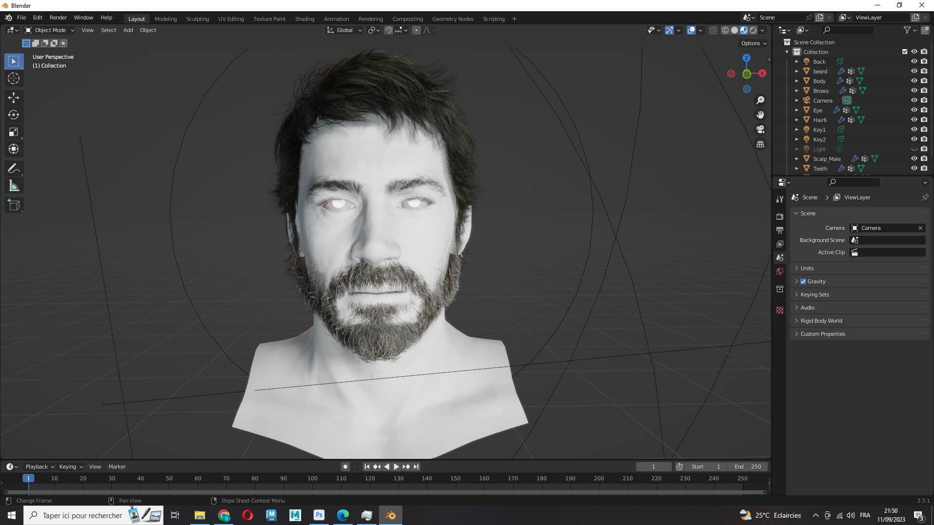 Realistic Hair Beard Brows Mustache - 3D Model by khaloui