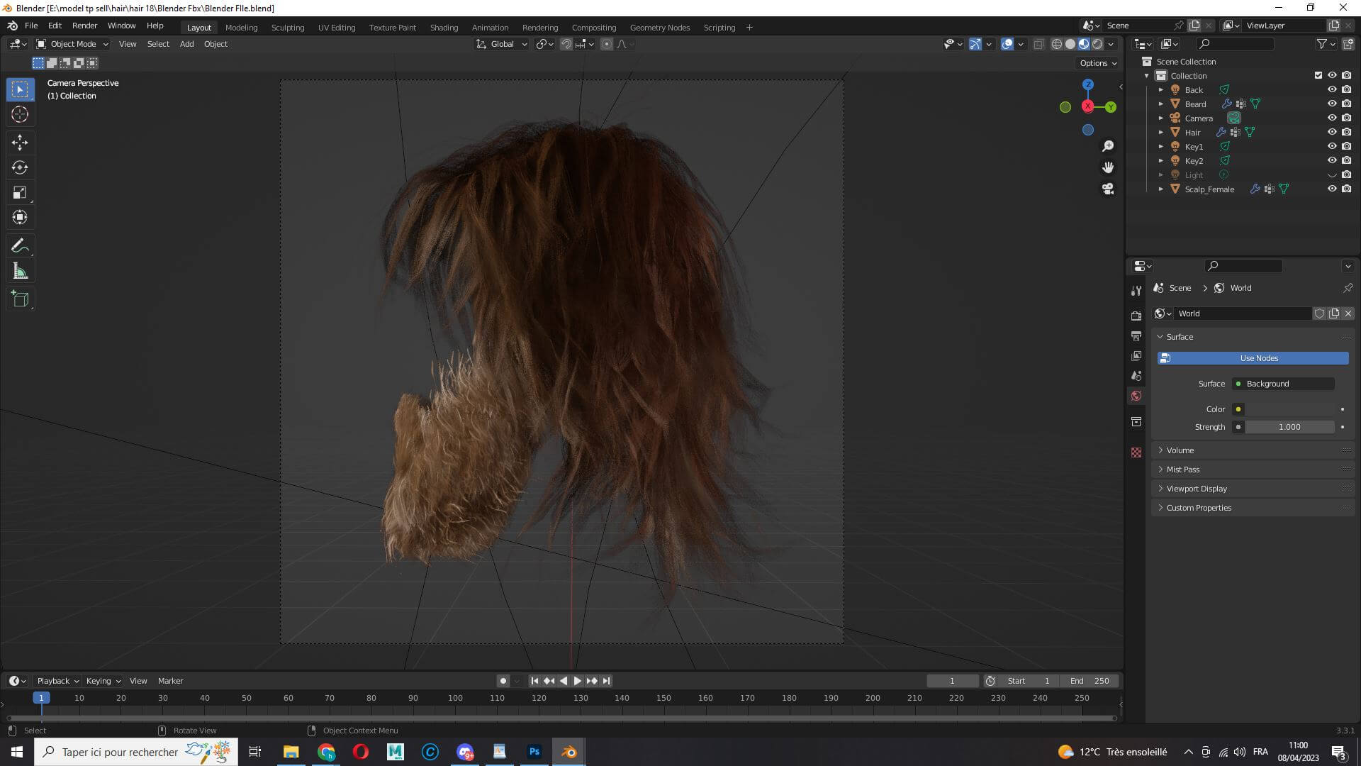 Realistic Hair Beard Brows Mustache Low Poly - 3D Model by khaloui