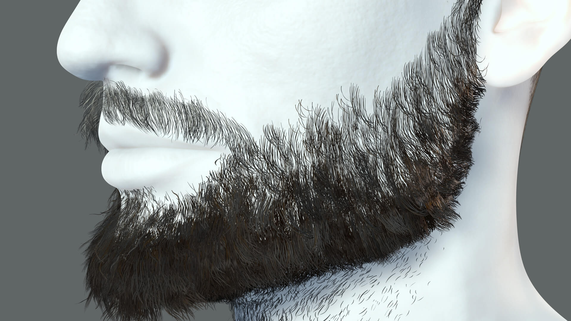 Hair Beard Brows and Mustache P2 - 3D Model by khaloui