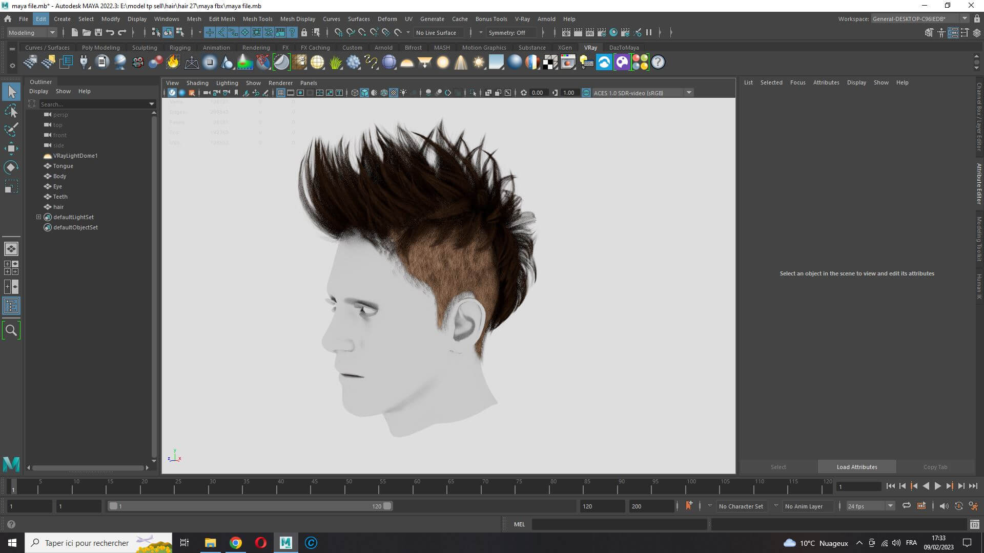 Hair Hawk Cyberpunk - 3D Model by khaloui