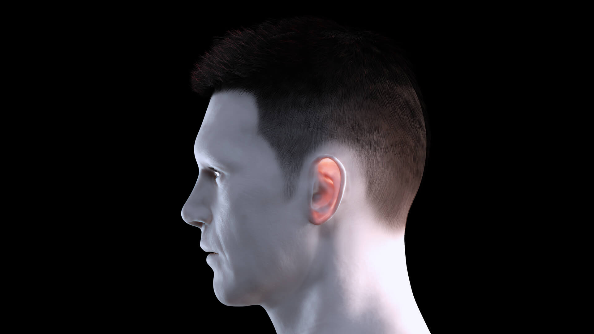 Realistic Hair Hawk - 3D Model by khaloui