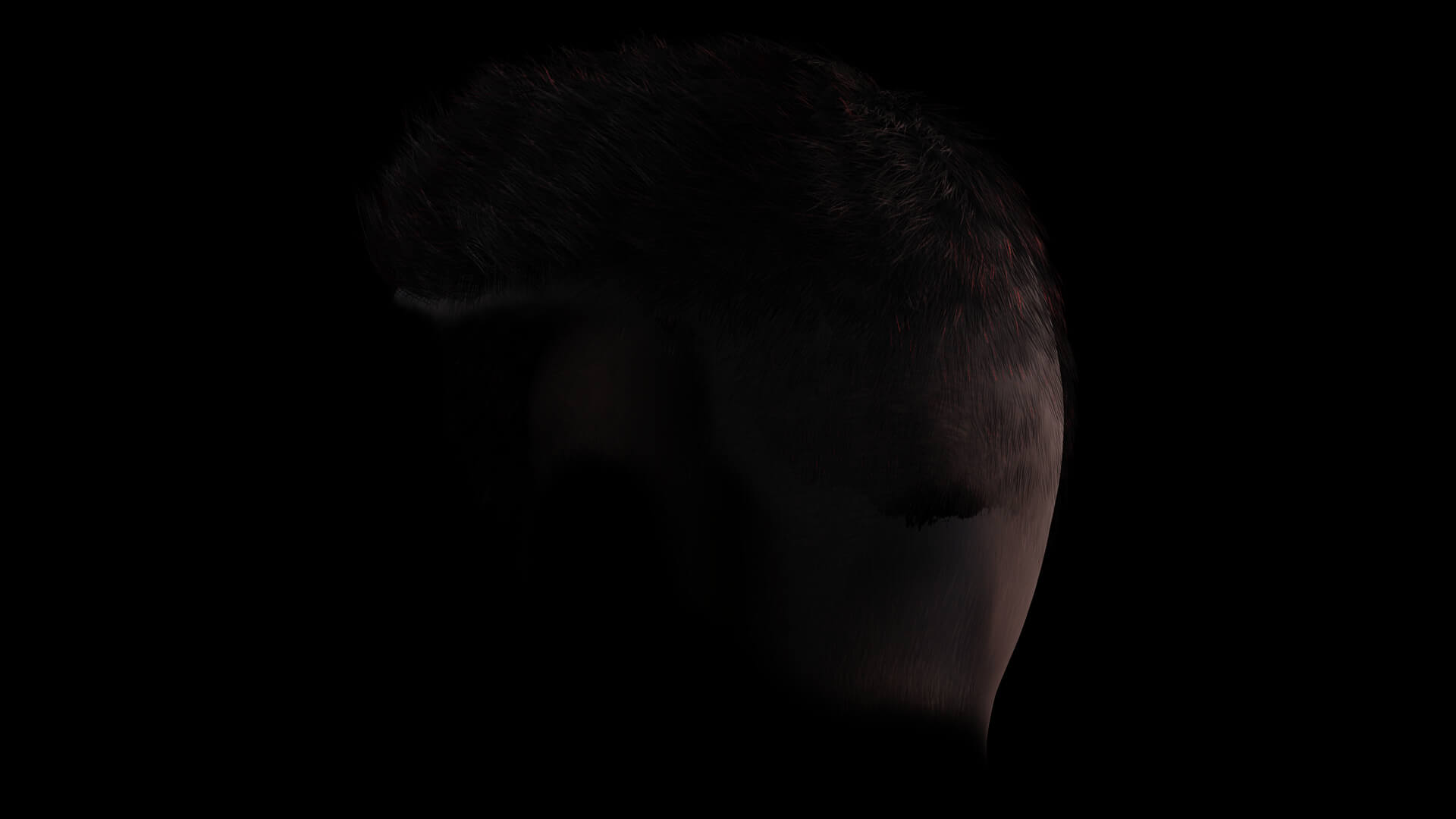 Realistic Hair Hawk - 3D Model by khaloui