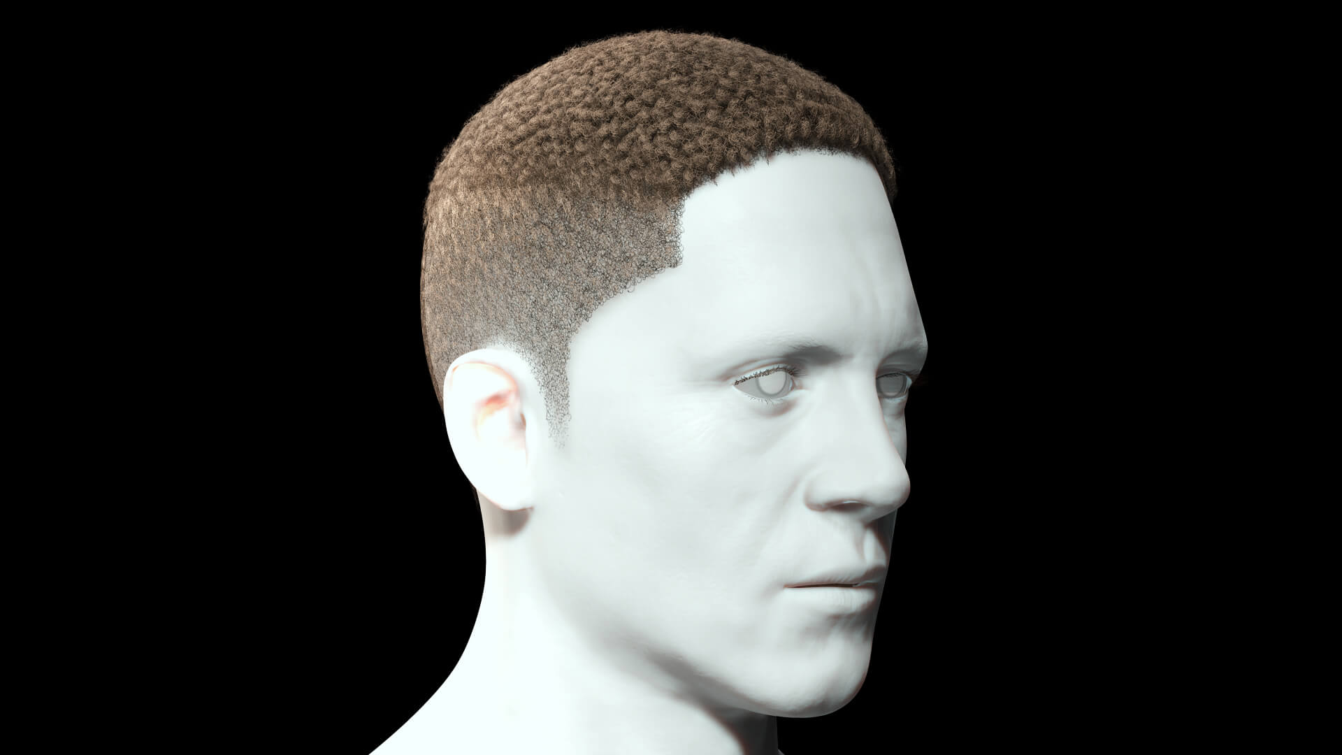 Realistic Hair Male - 3D Model by khaloui