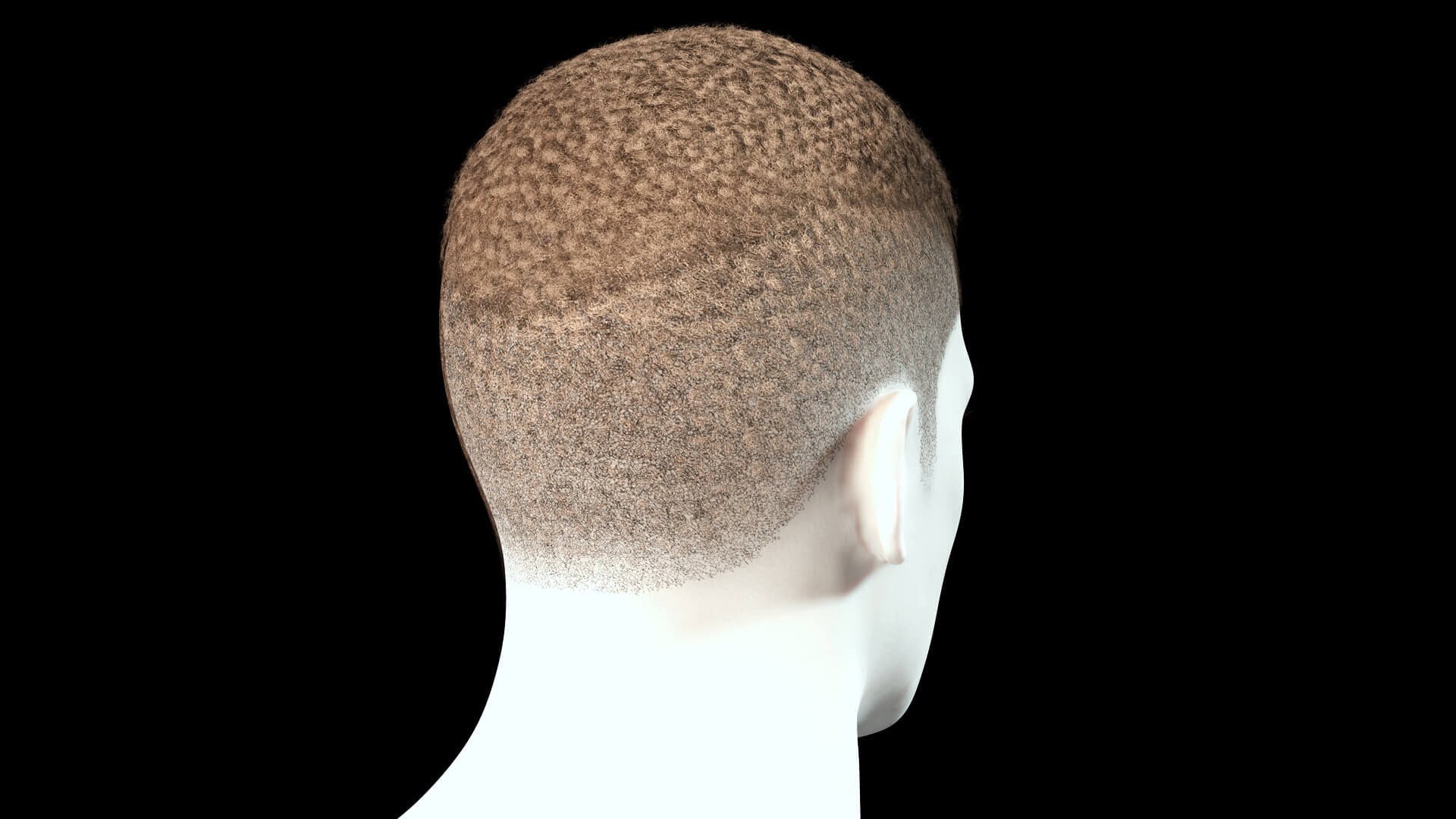 Realistic Hair Male - 3D Model by khaloui
