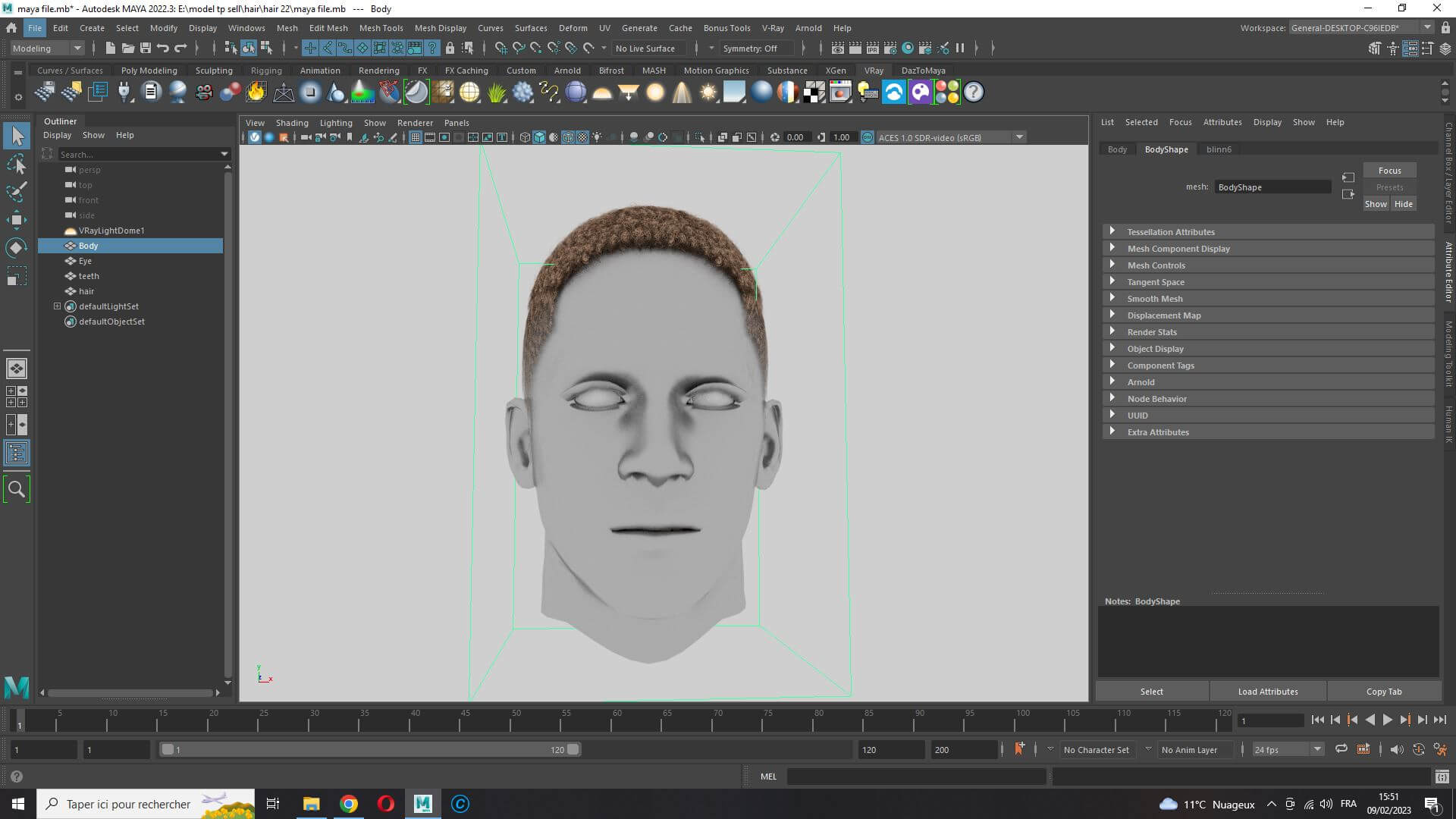 Realistic Hair Male - 3D Model by khaloui