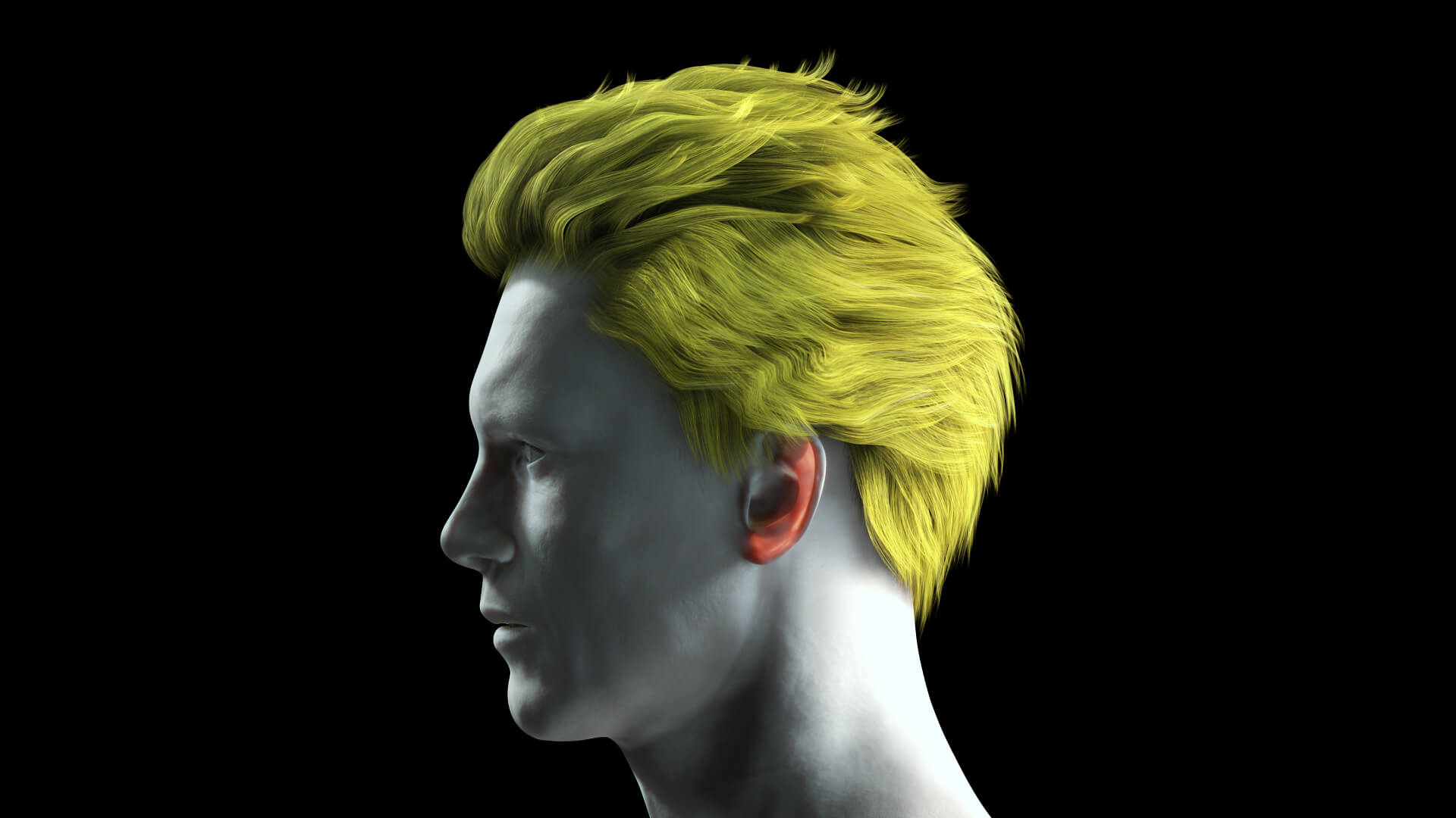 Hair Man - 3D Model by khaloui