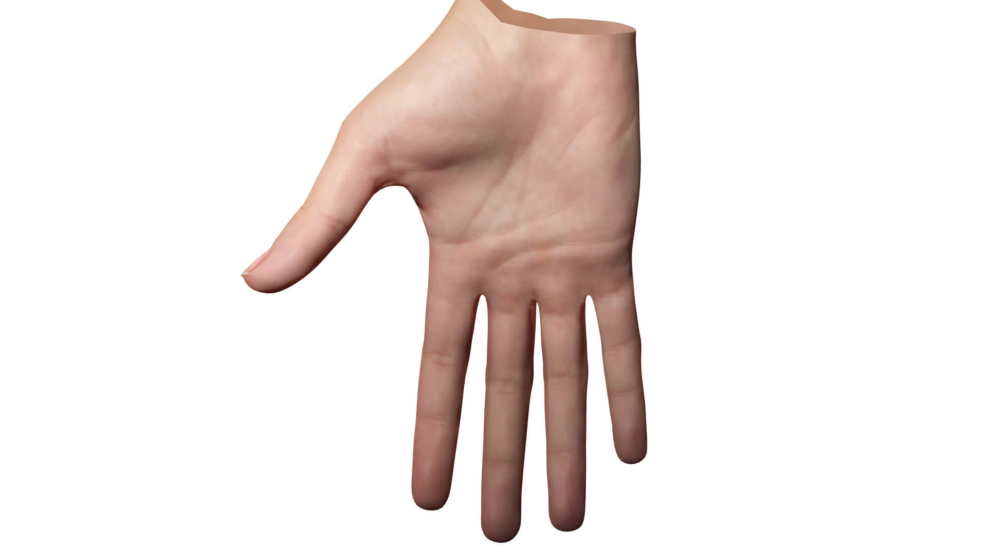 Hand VR - 3D Model by khaloui