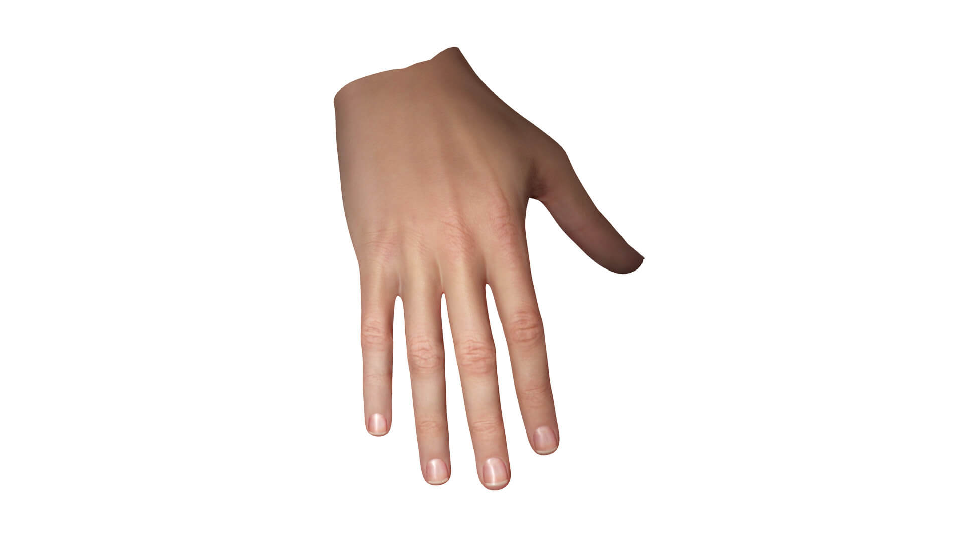 Realistic Hand VR - 3D Model by khaloui