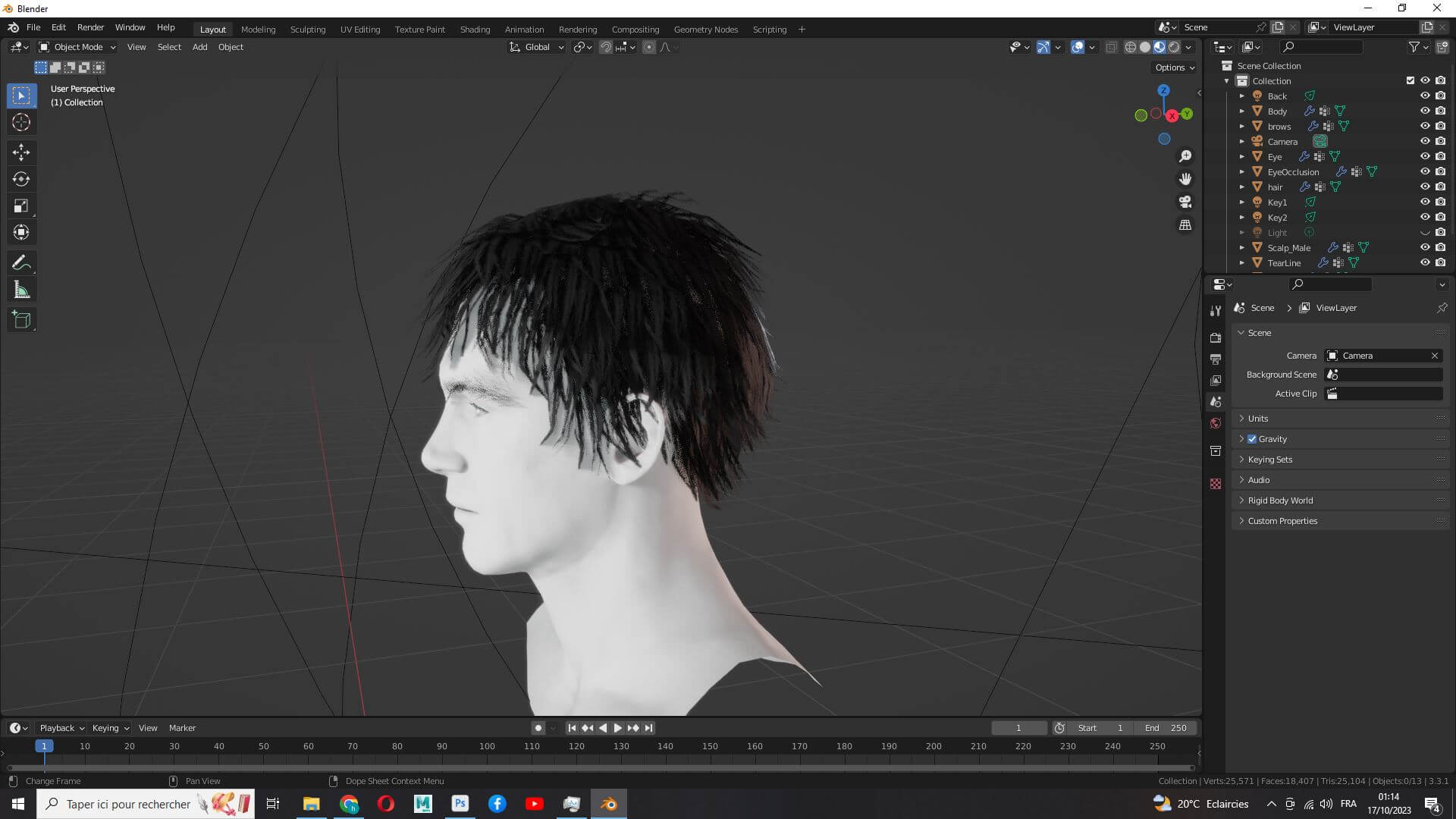 Realistic Long Male Hair - 3D Model by khaloui