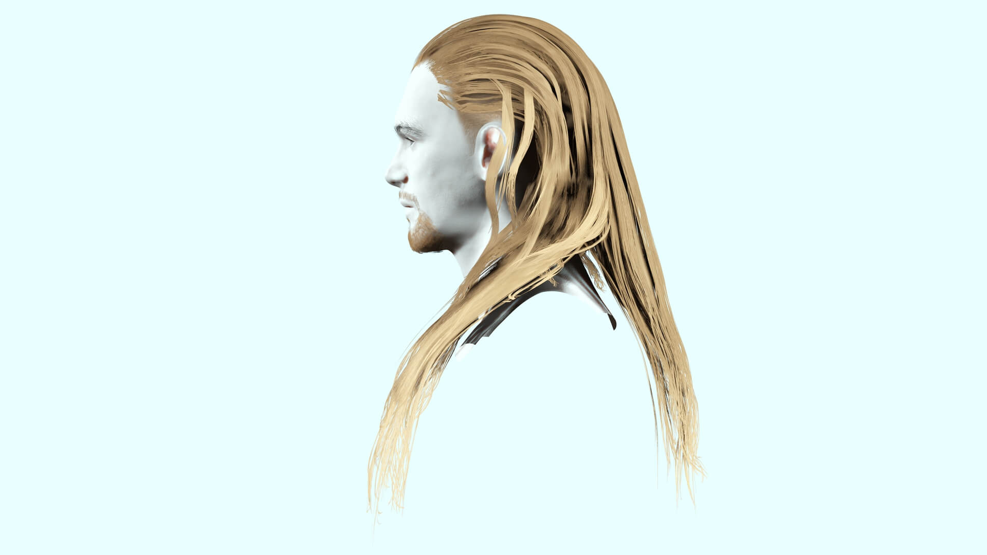 Realistic Long Male Hair - 3D Model by khaloui
