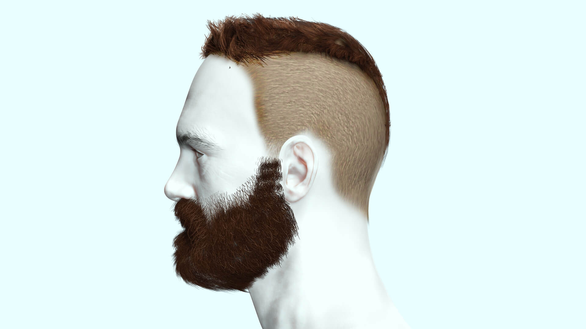 Realistic Male Hair - 3D Model by khaloui