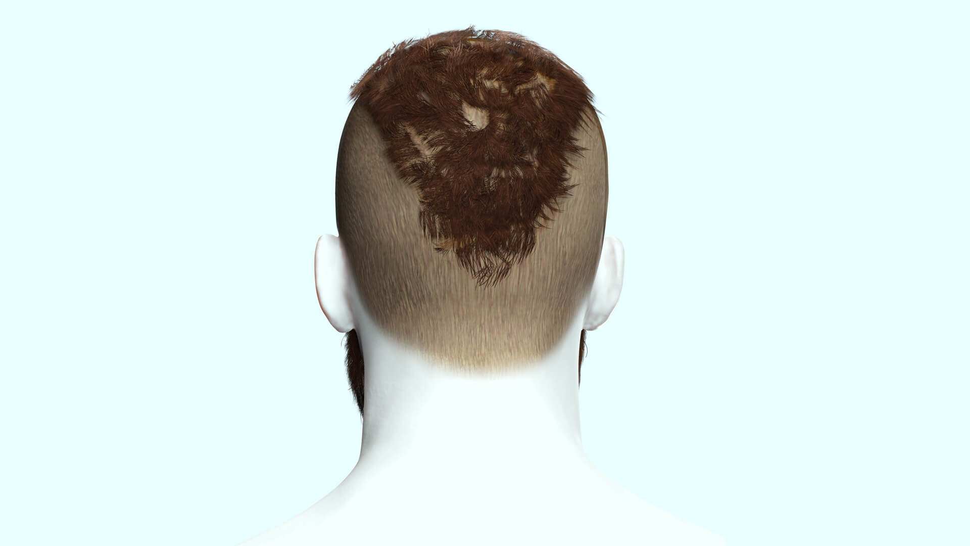 Realistic Male Hair - 3D Model by khaloui