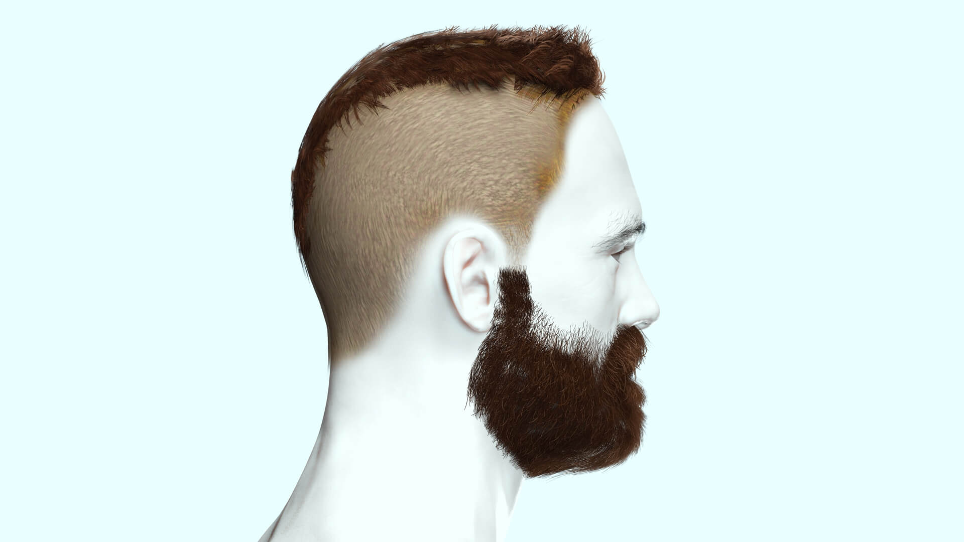 Realistic Male Hair - 3D Model by khaloui