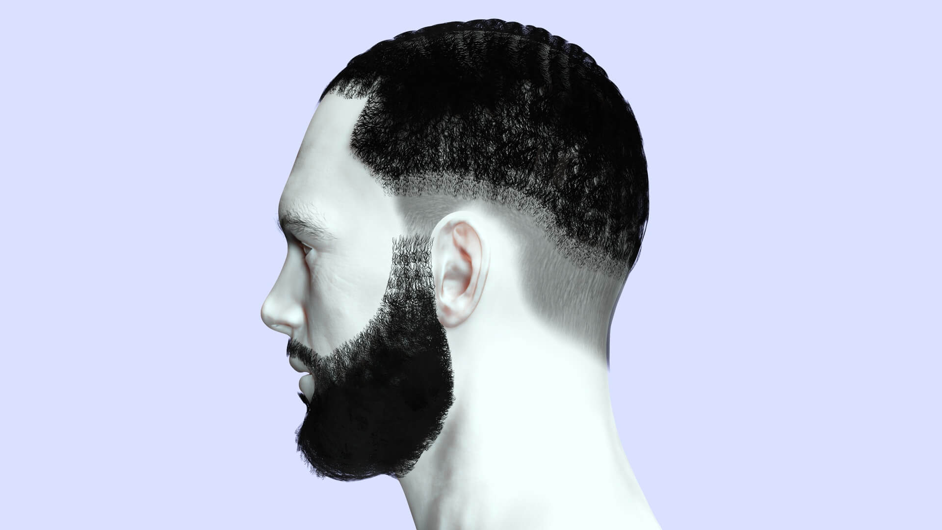 Realistic Male Hair - 3D Model by khaloui