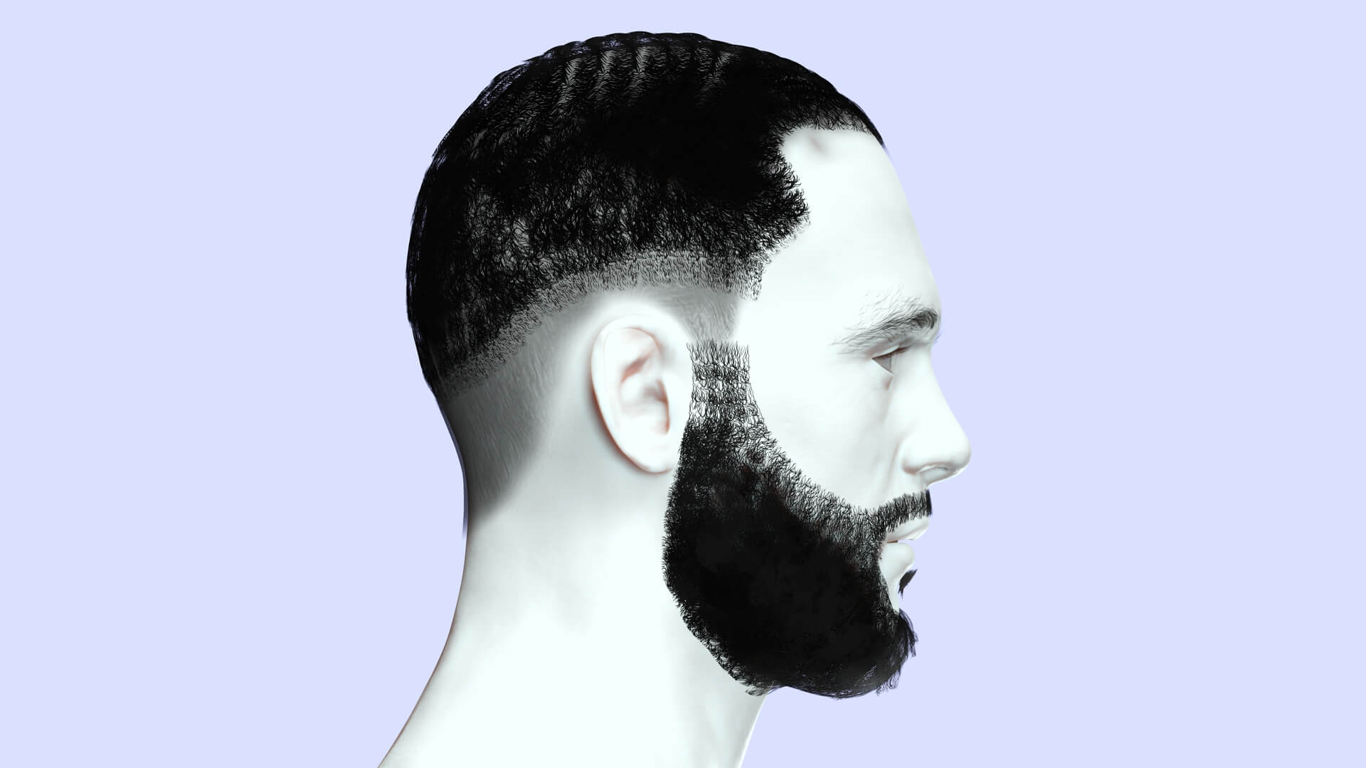 Realistic Male Hair - 3D Model by khaloui