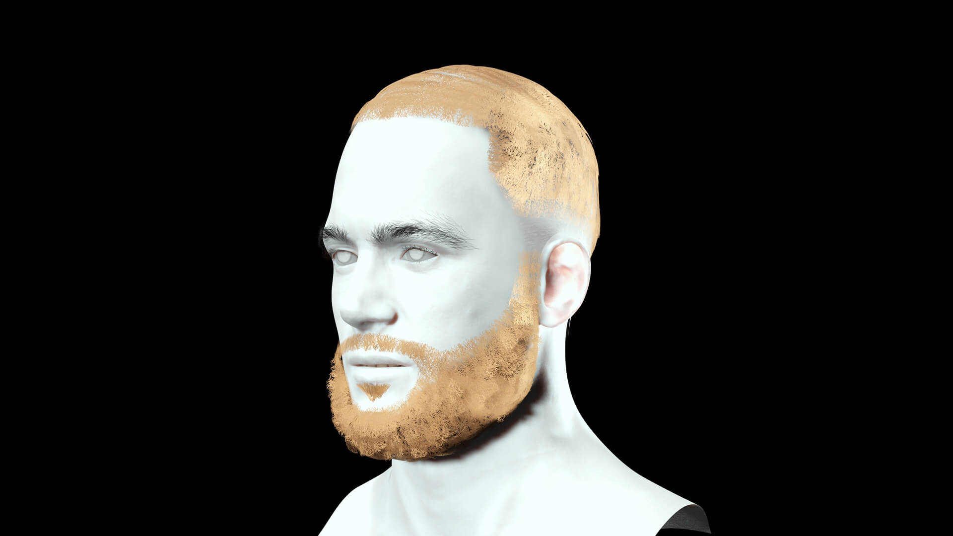 Realistic Male Hair - 3D Model by khaloui