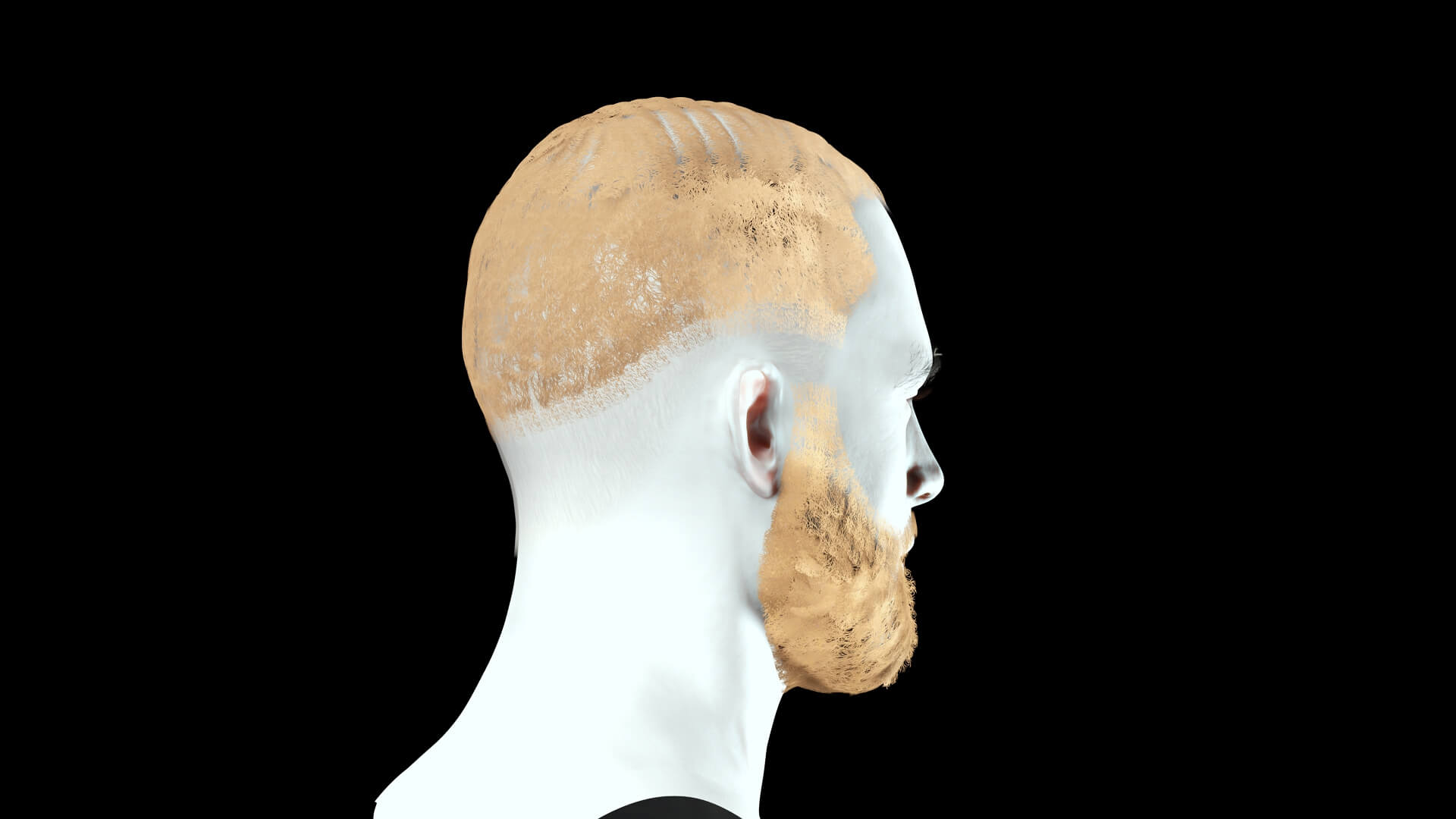 Realistic Male Hair - 3D Model by khaloui