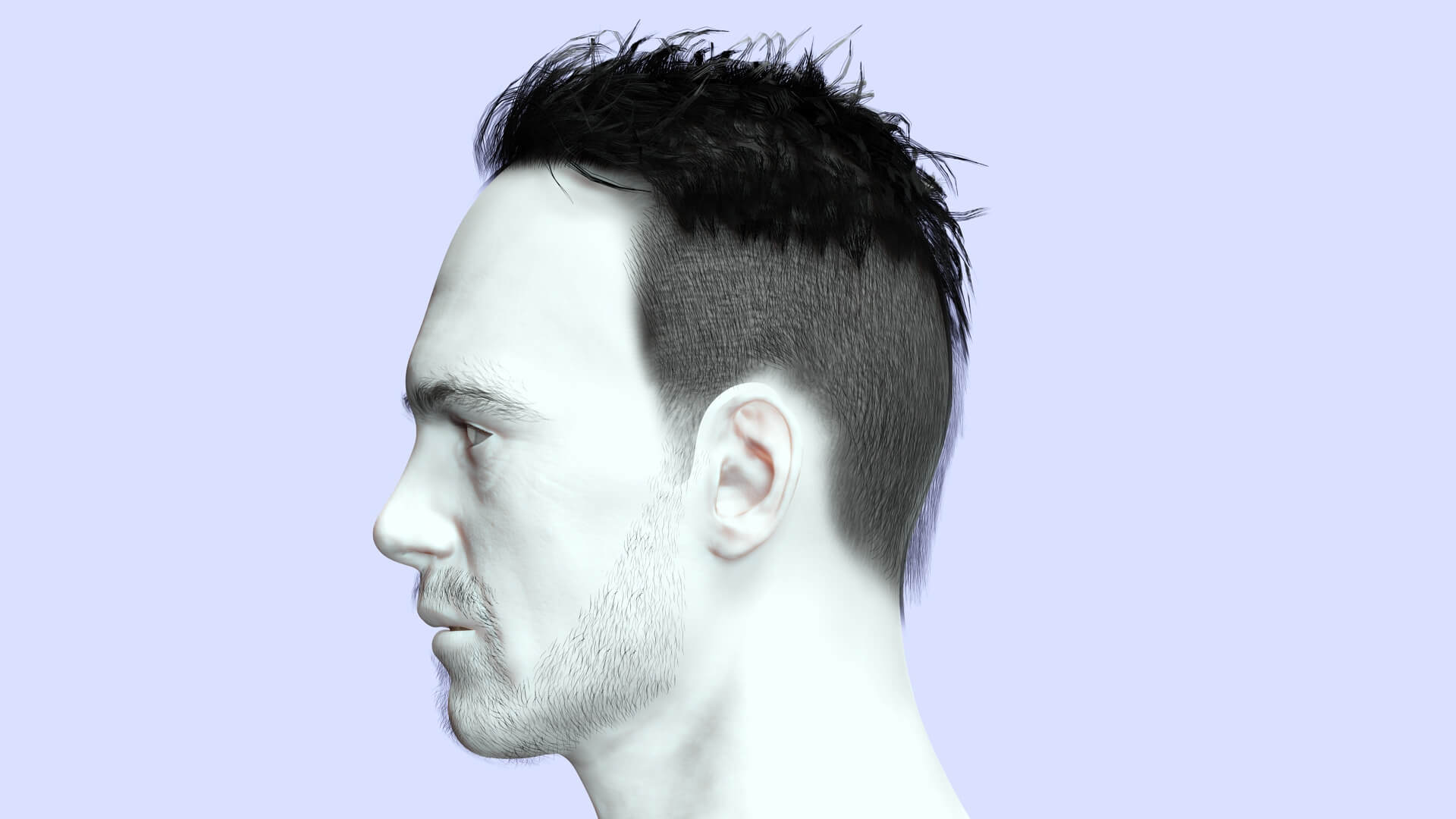 Realistic Male Hair - 3D Model by khaloui