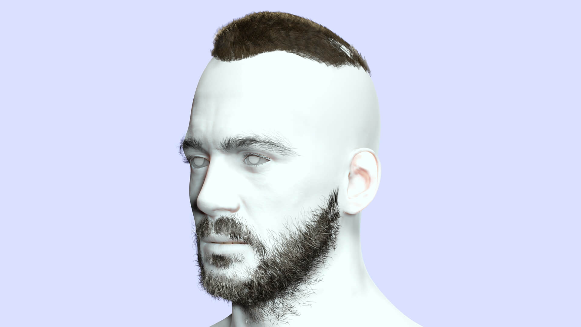 Realistic Male Hair - Buzz Hair Cut 3D Model by khaloui